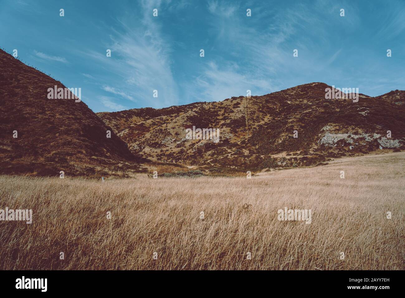 Makara High Resolution Stock Photography and Images - Alamy
