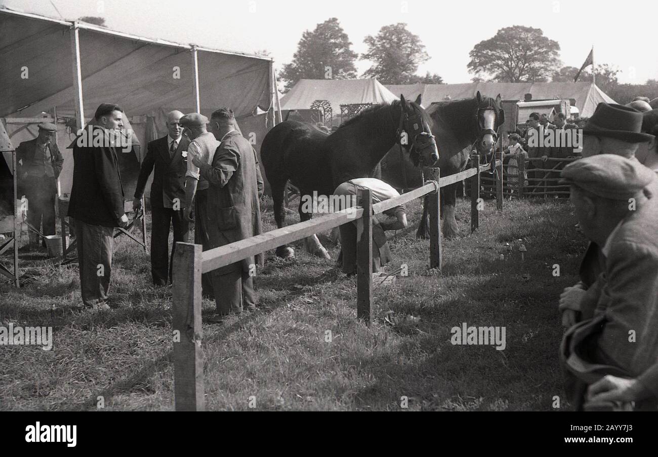 1950s, historical, at the Thame Show, visitors watching farriers and ...