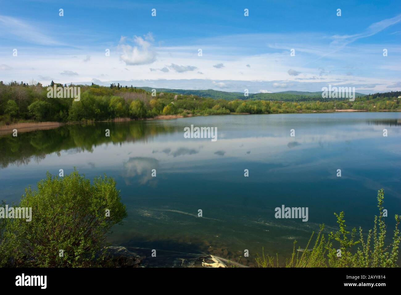 Spring panorama of a forest lake Stock Photo - Alamy