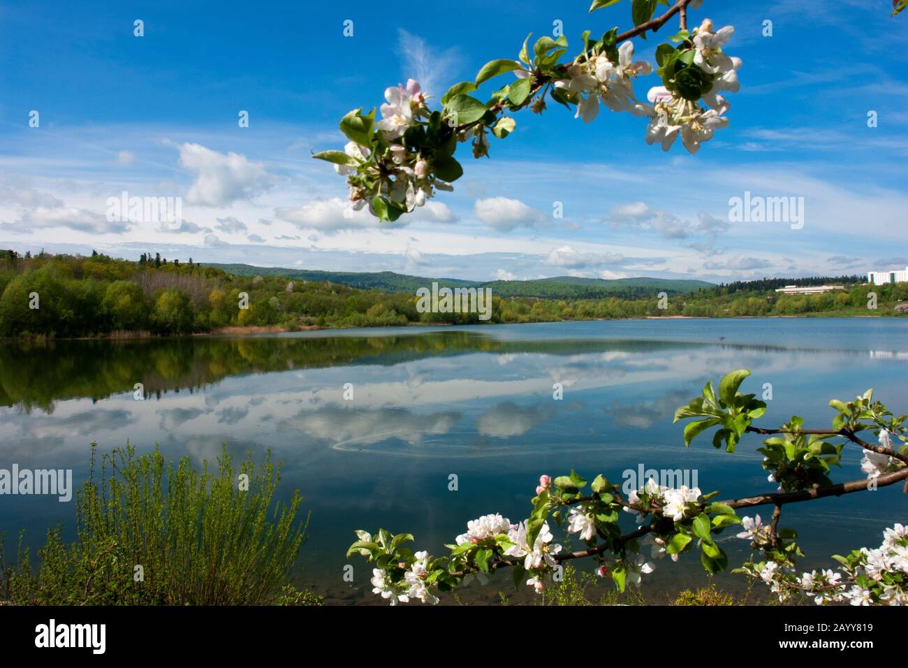 Spring panorama of a forest lake Stock Photo - Alamy