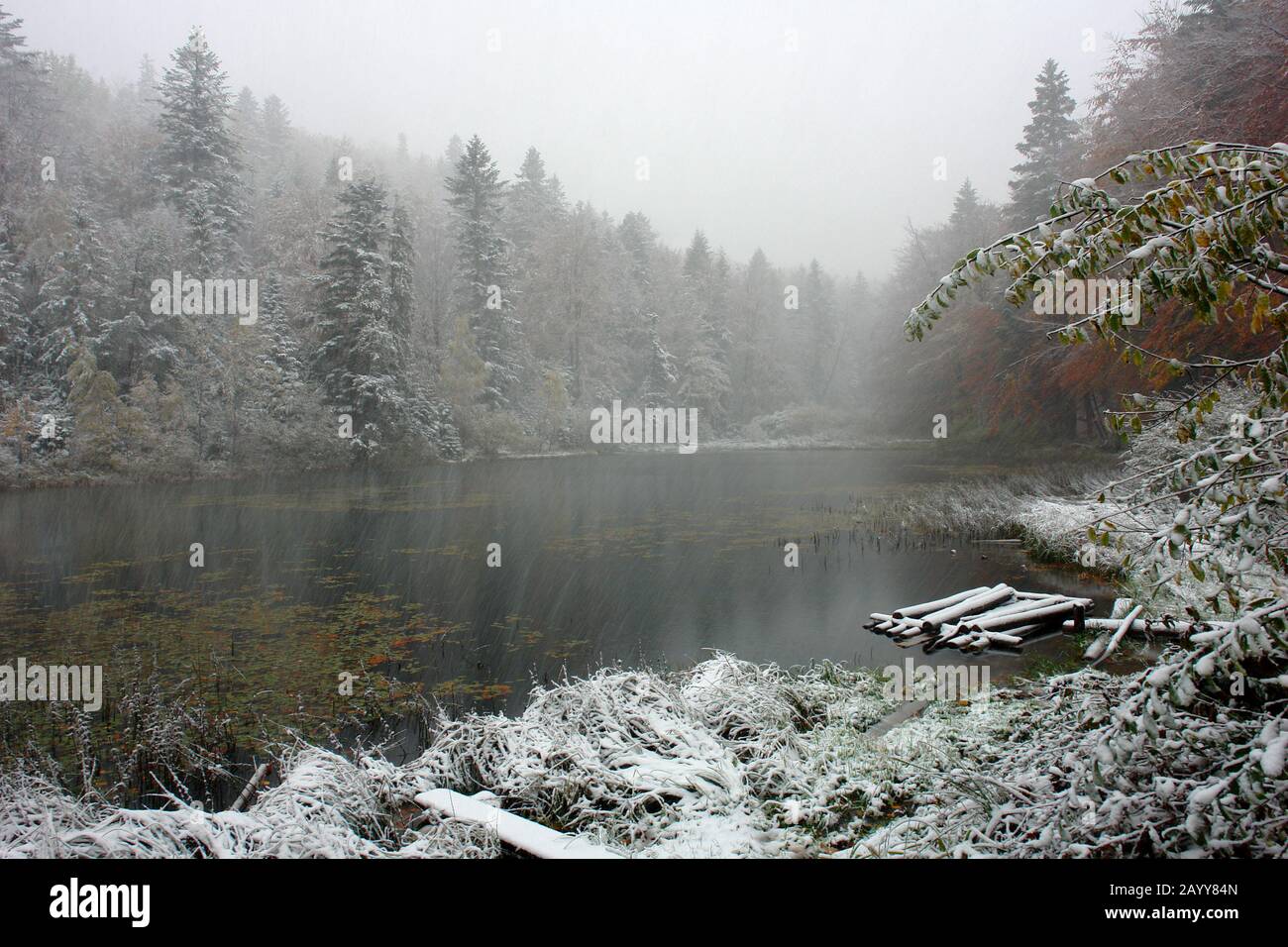 A bright lake among the autumn forest Stock Photo - Alamy