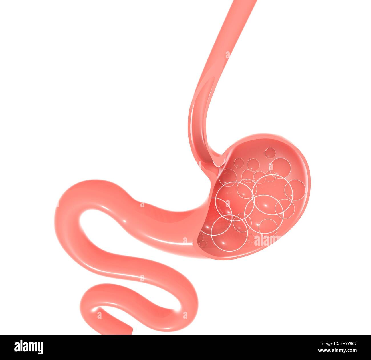 3D illustration of the human stomach with gases. Graphic representation ...