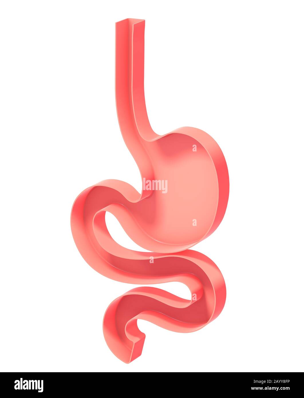 3D illustration of the schematic interior of the stomach. Flat ...