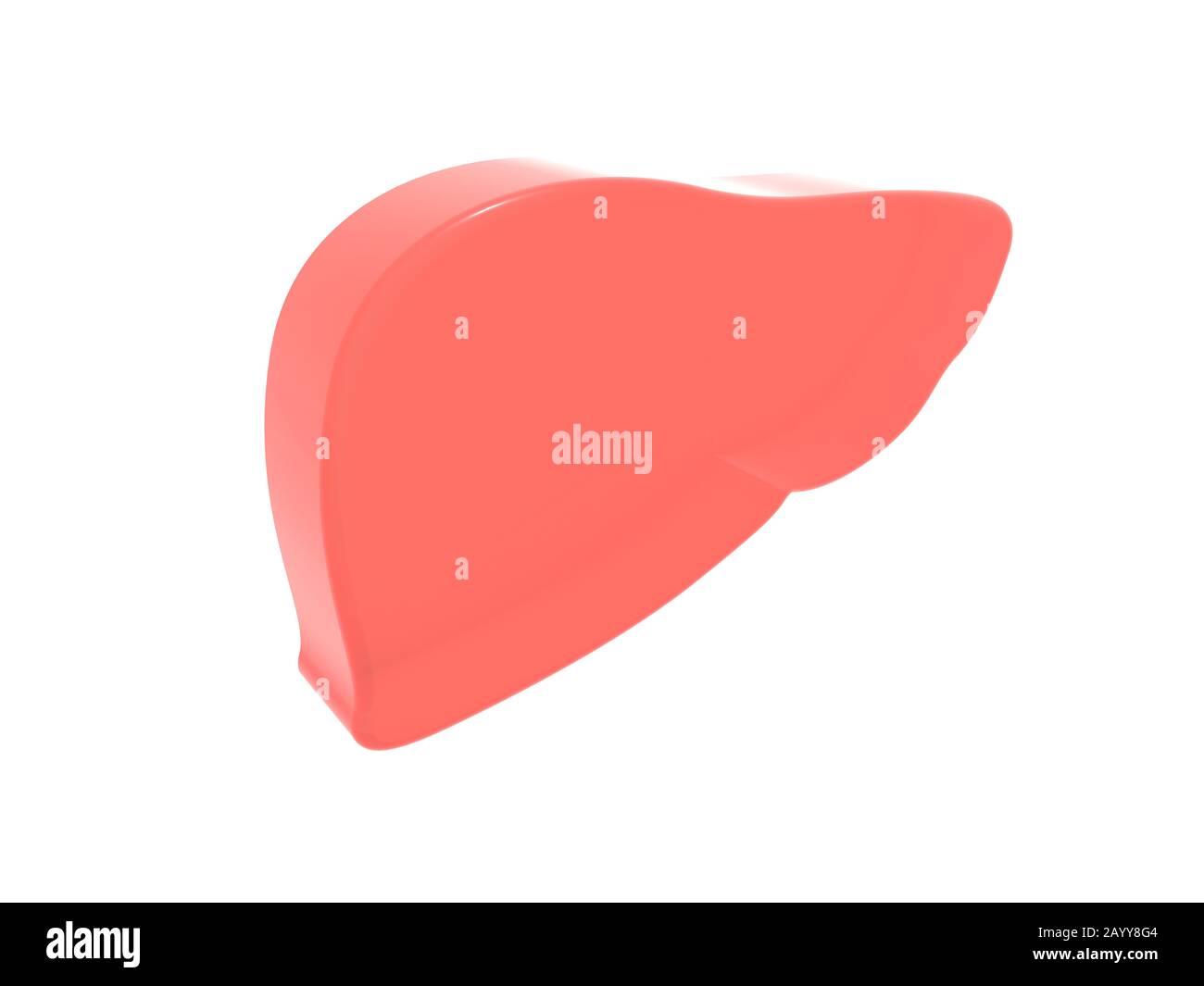 3D illustration of the human liver. Flat representation with volume ...