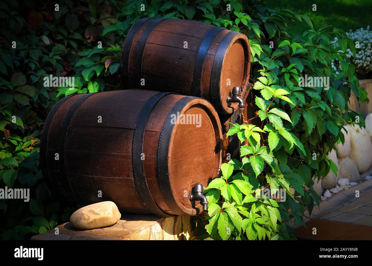 barrels of wine in the green grass Stock Photo - Alamy