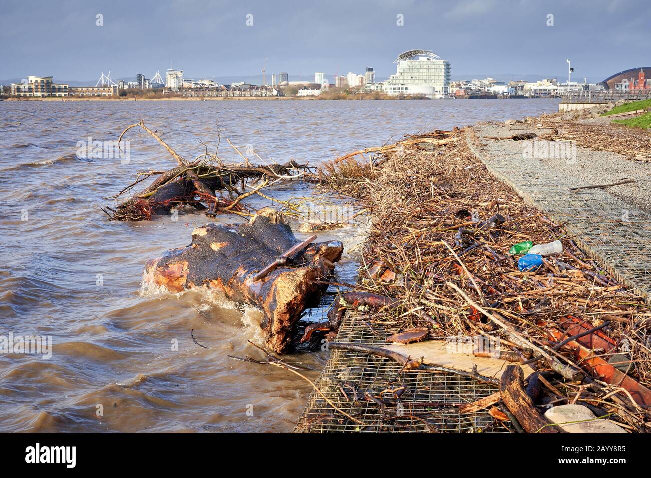 Debris and driftwood washed up on the shoreline of Cardiff Bay after ...