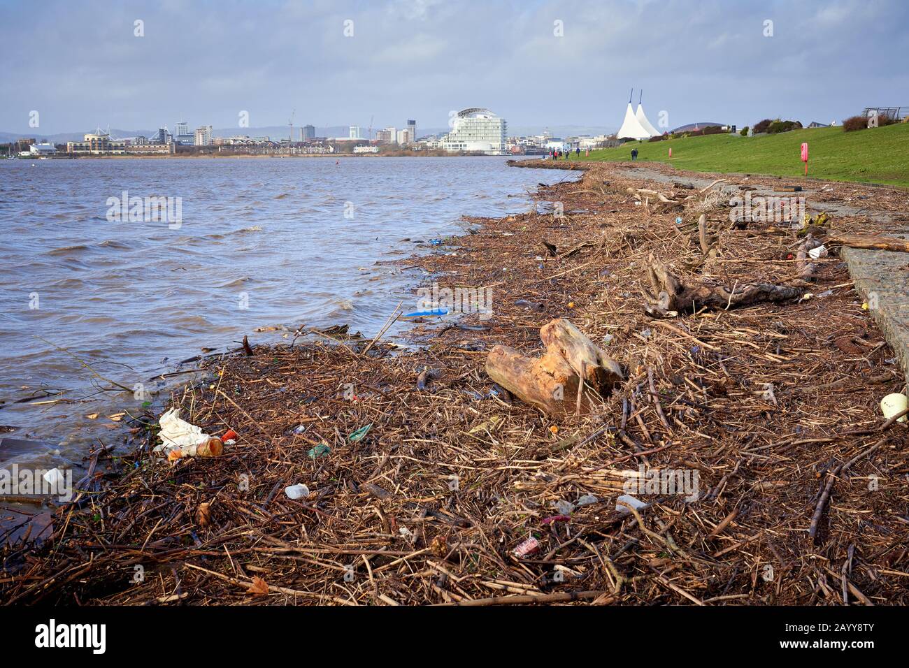 Debris and driftwood washed up on the shoreline of Cardiff Bay after ...