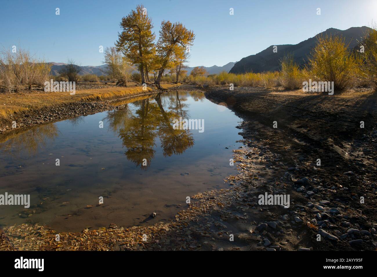 River river river river pond hi-res stock photography and images - Alamy
