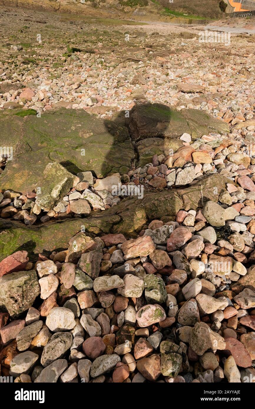 February 2020 - Rock formations on the beach at Portishead, North ...