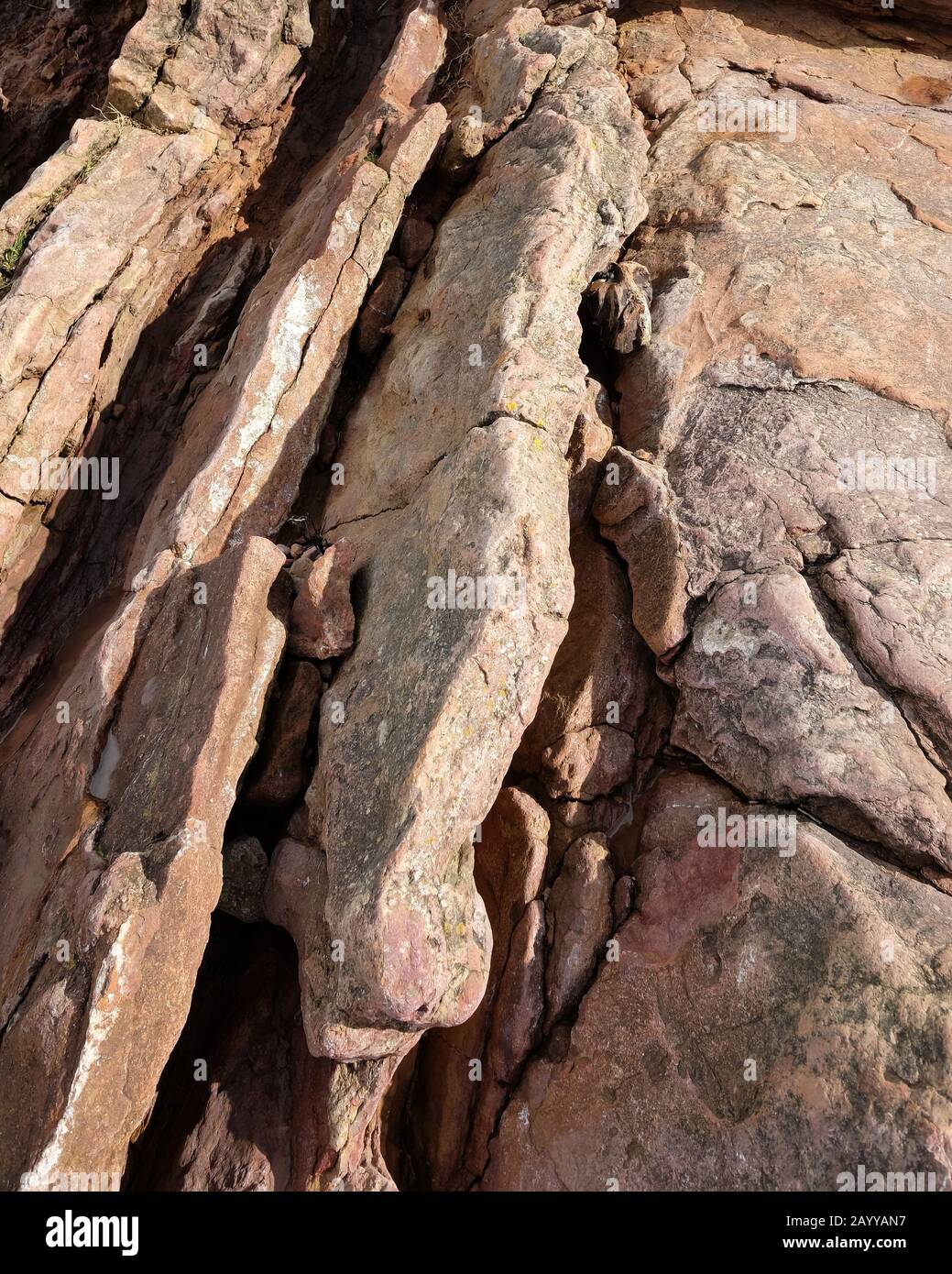 February 2020 - Rock formations on the beach at Portishead, North ...