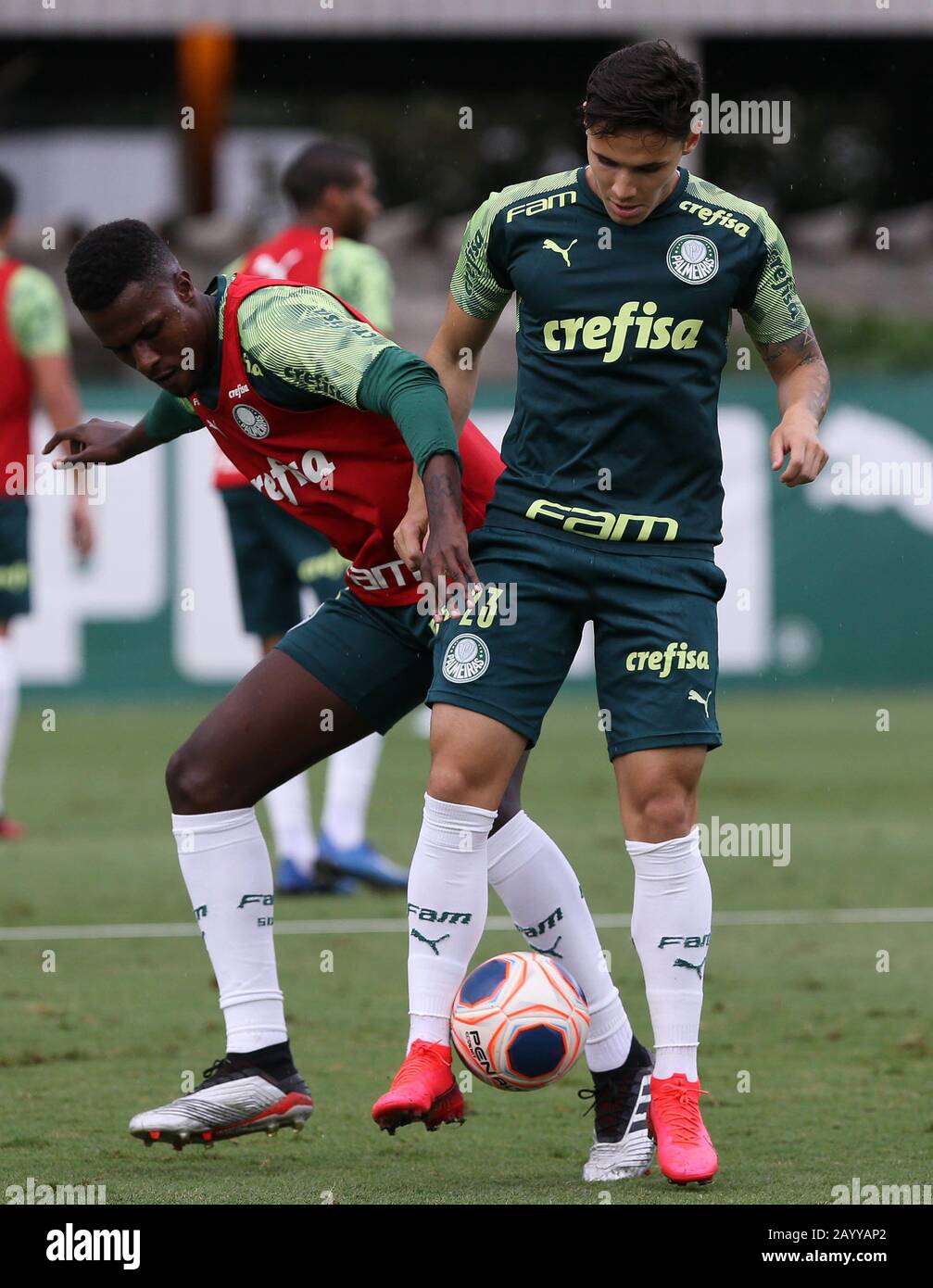 Sao Paulo, Brazil. 17th Feb, 2020. The players Pedrão and Raphael Veiga ...