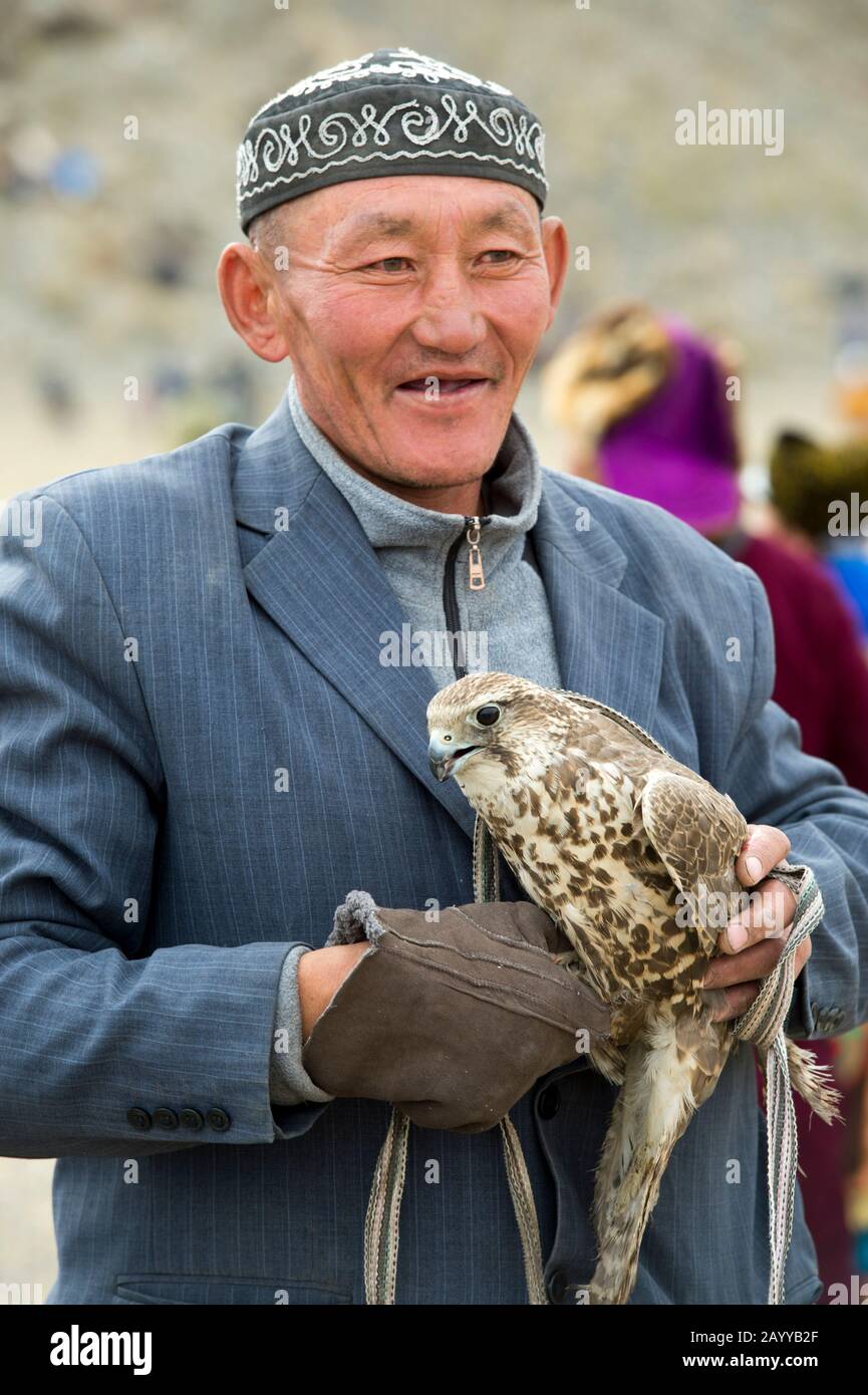Altai falcon hi-res stock photography and images - Alamy