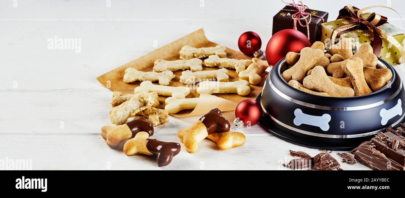 Bowl of chocolate dipped dog treats for Xmas with colorful red ...
