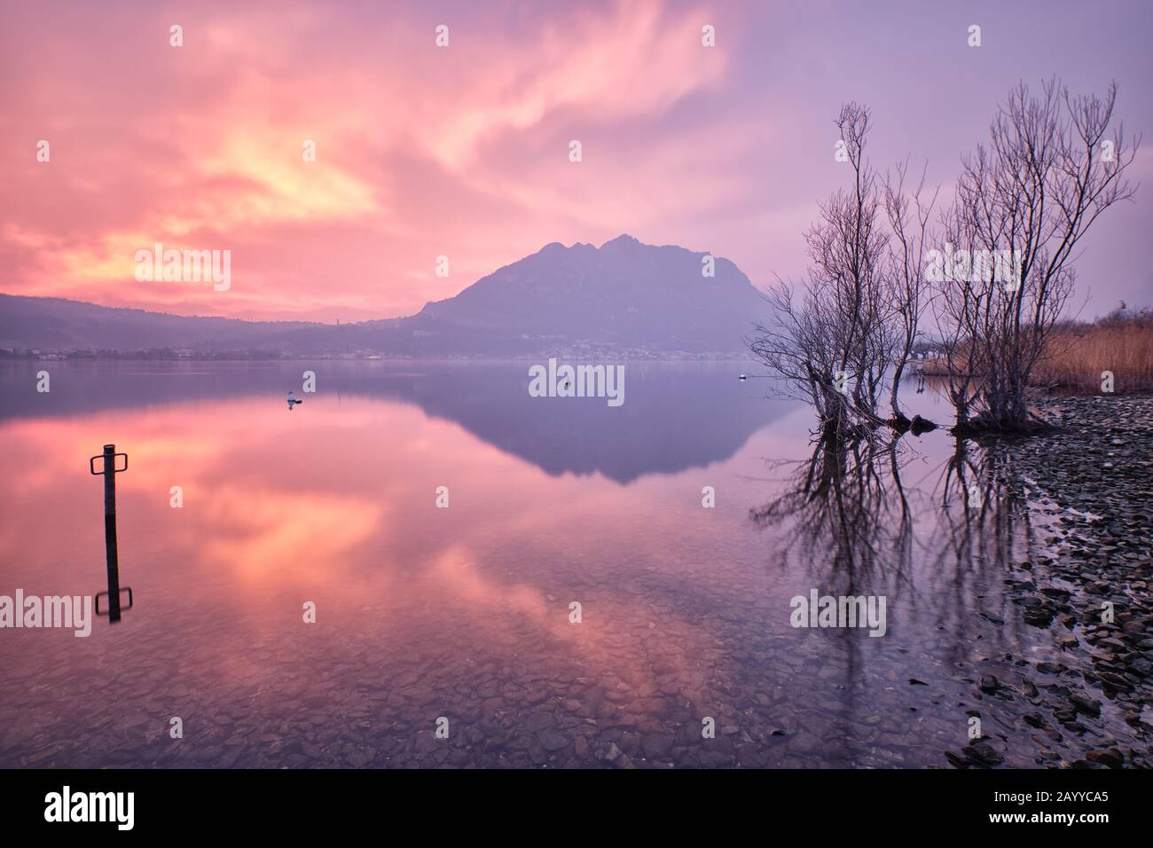 Pink sunset reflected in the lake of Como, Italy Stock Photo - Alamy