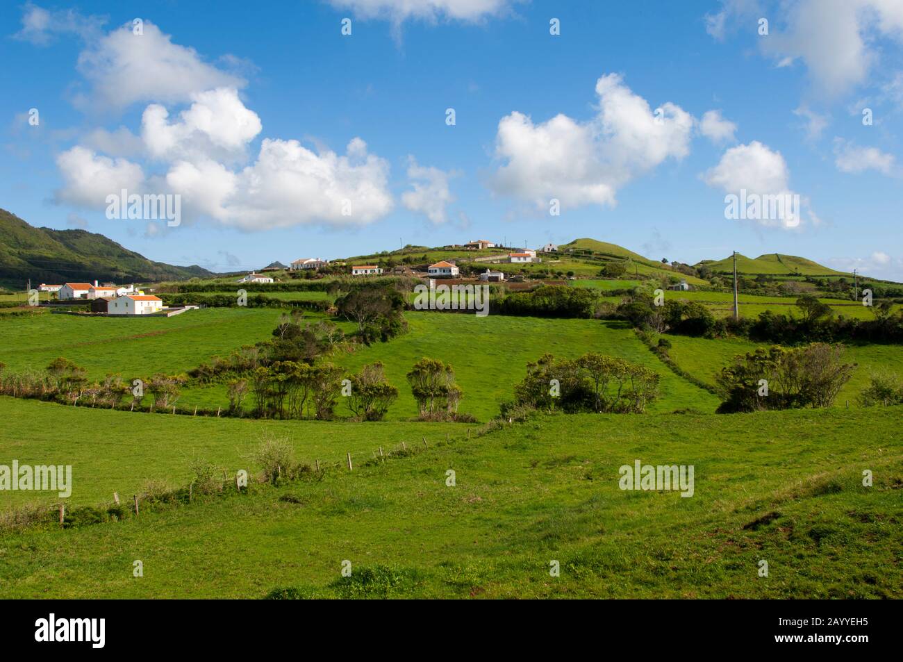 Farm houses and green pastures on Santa Maria Island in the Azores ...