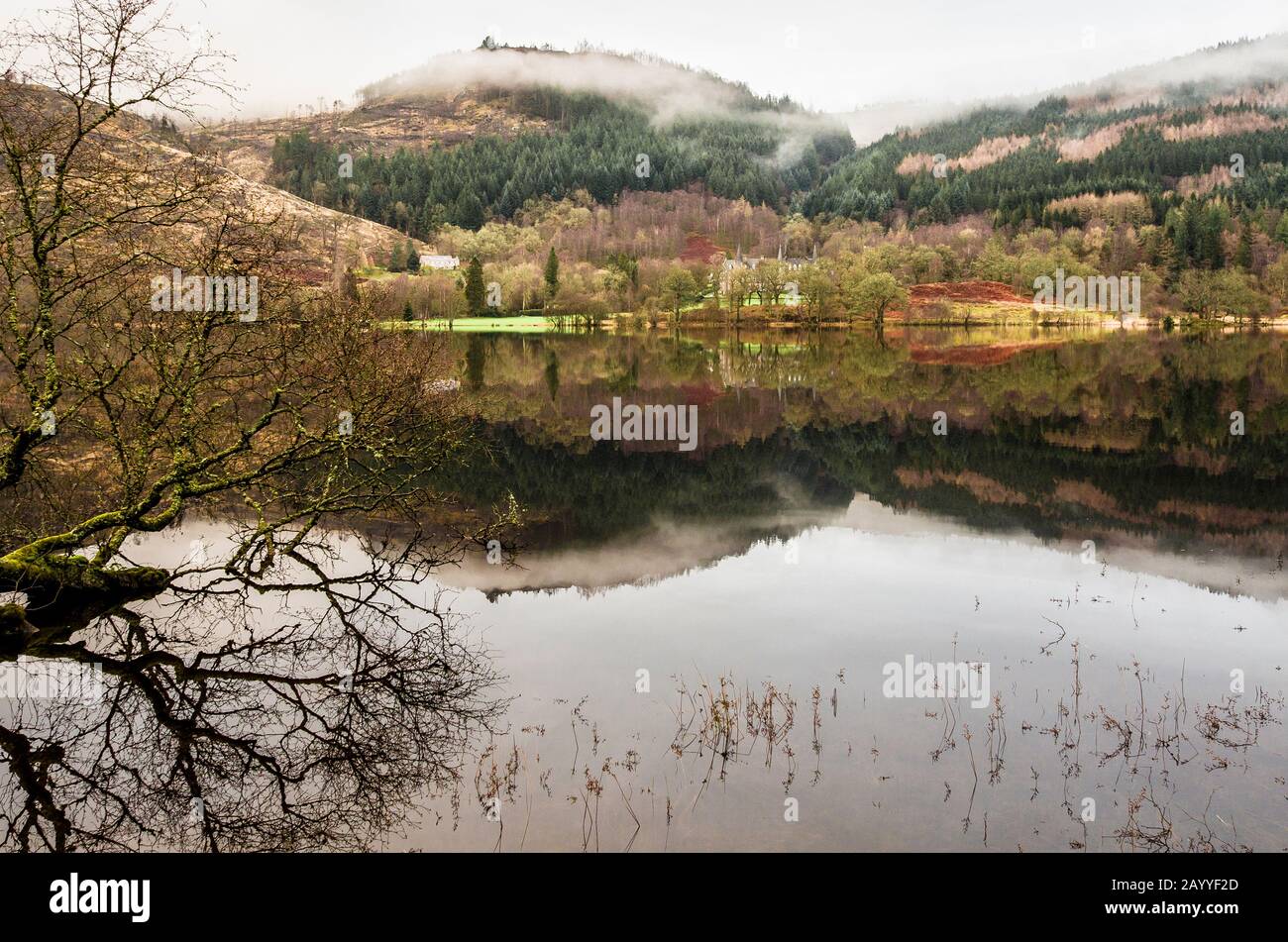 HPB - Tigh Mor Trossachs view on Loch Achray Stock Photo - Alamy