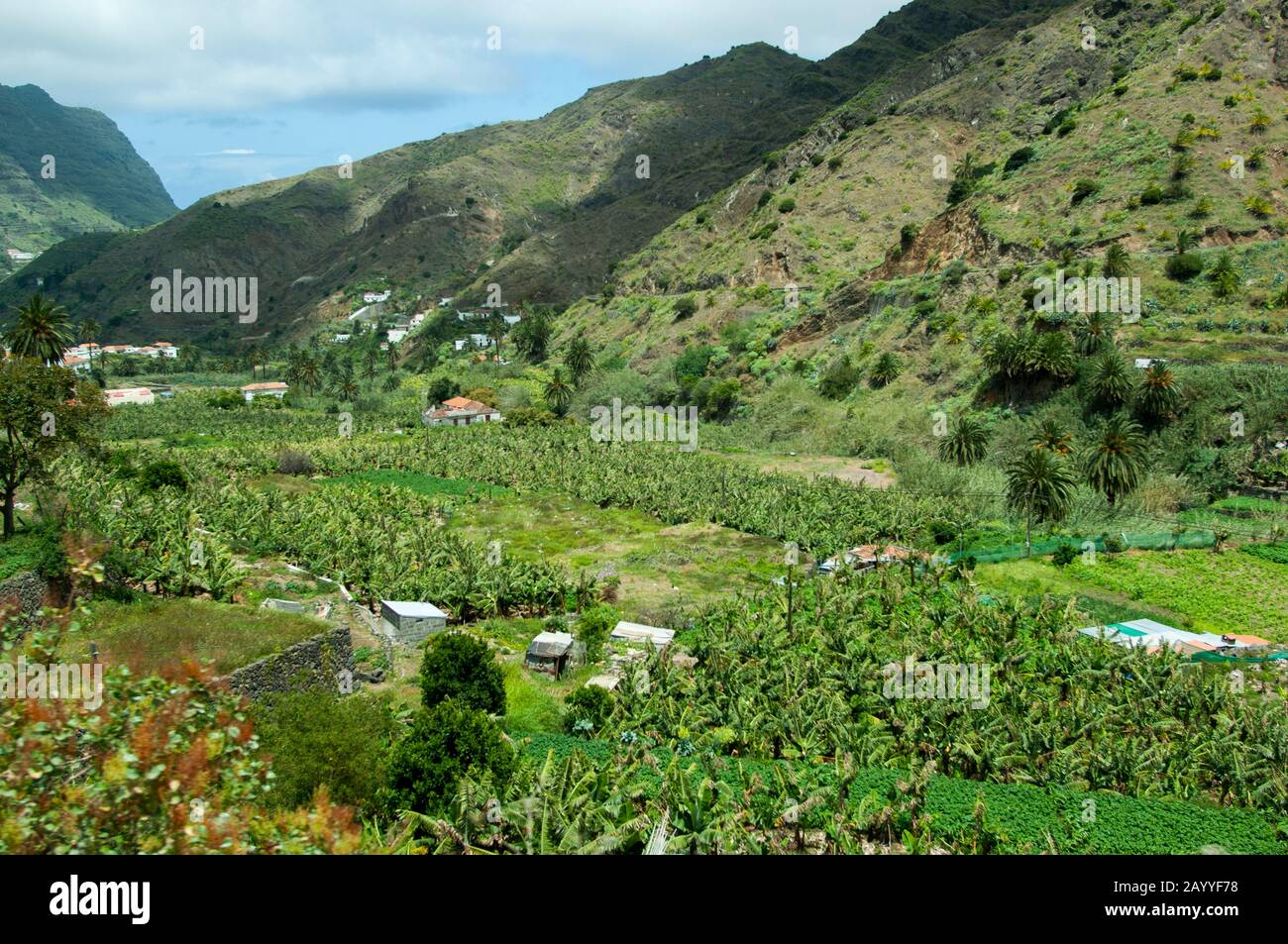 The Hermigua Valley with banana plantations on the island of La Gomera ...