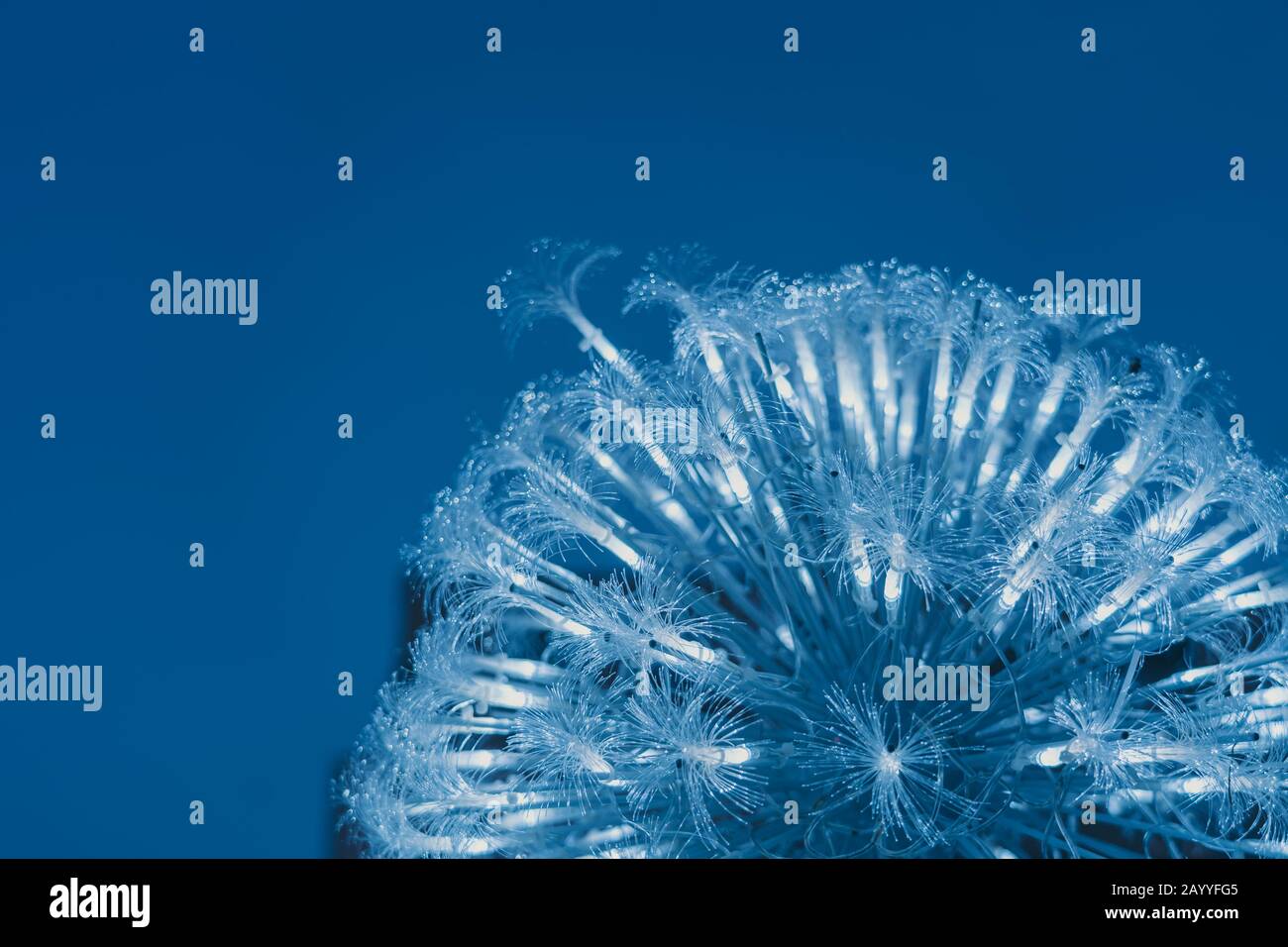 Bundle of optical fibers with lights ; background or textures Stock ...