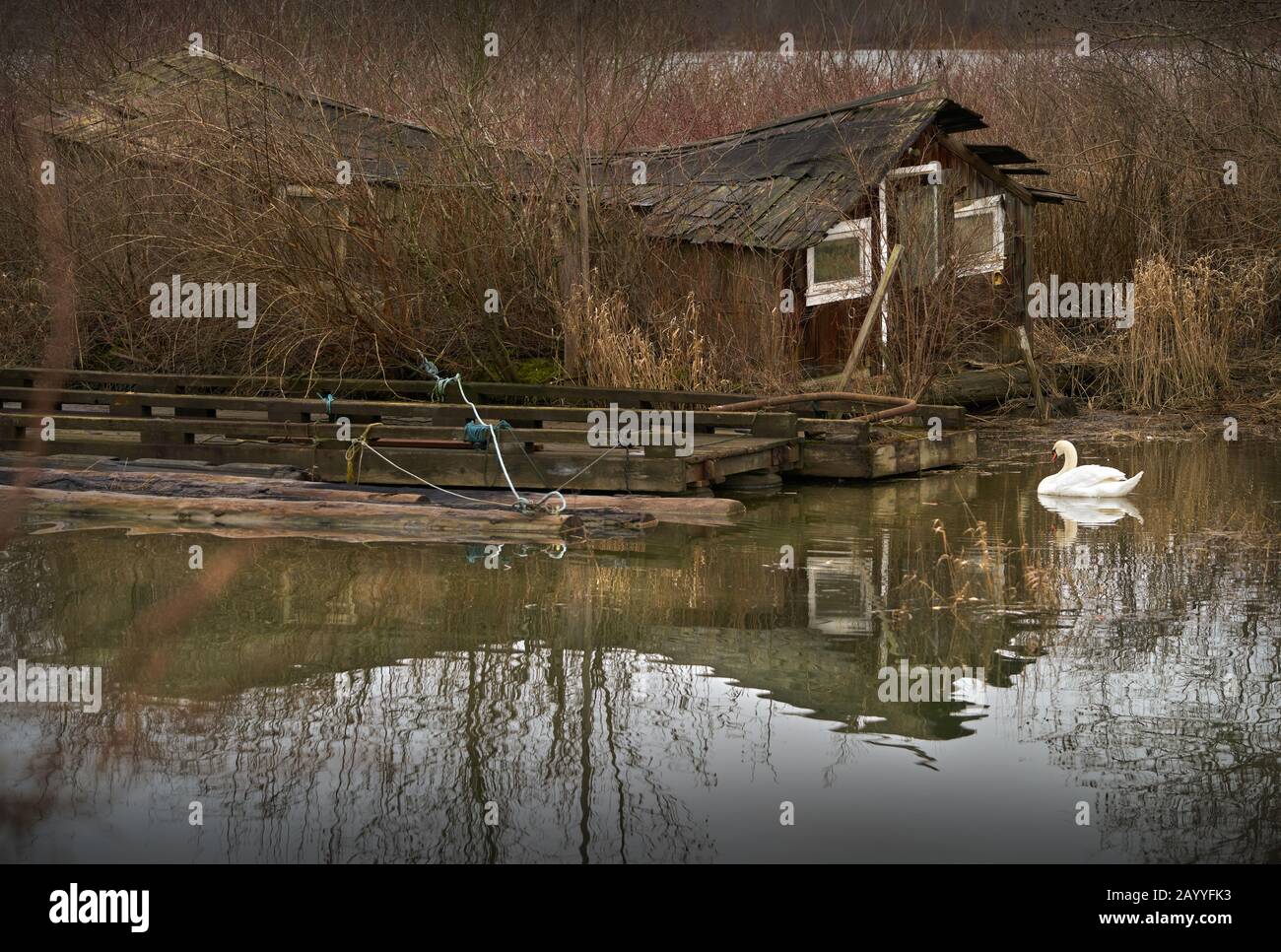 House stilts swamp hi-res stock photography and images - Alamy
