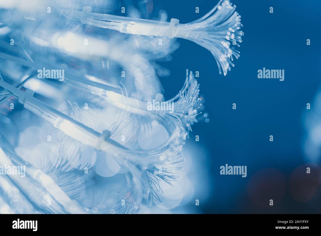 Bundle of optical fibers with lights ; background or textures Stock ...