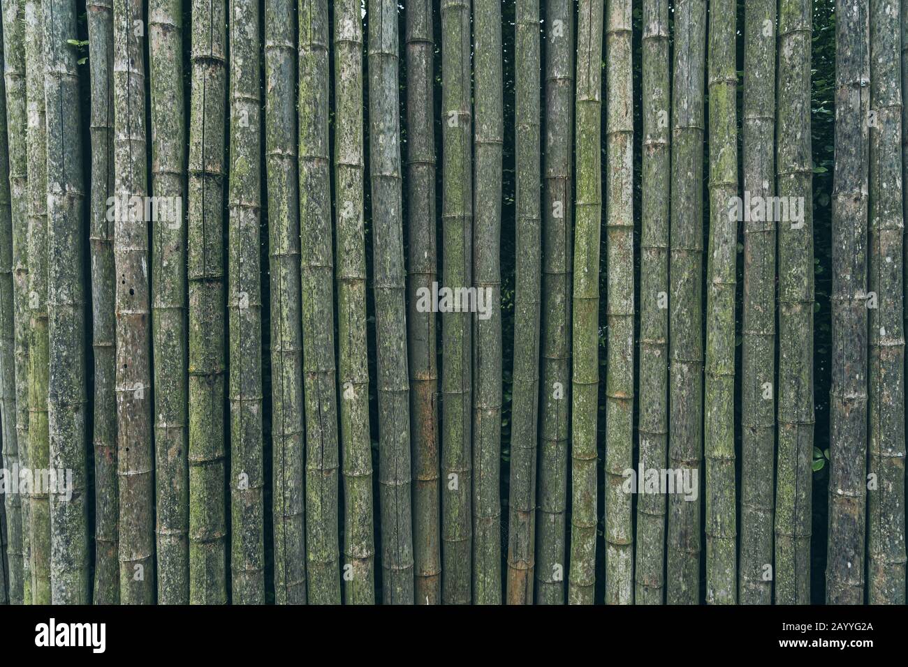 Bamboo for background; vintage style Stock Photo - Alamy