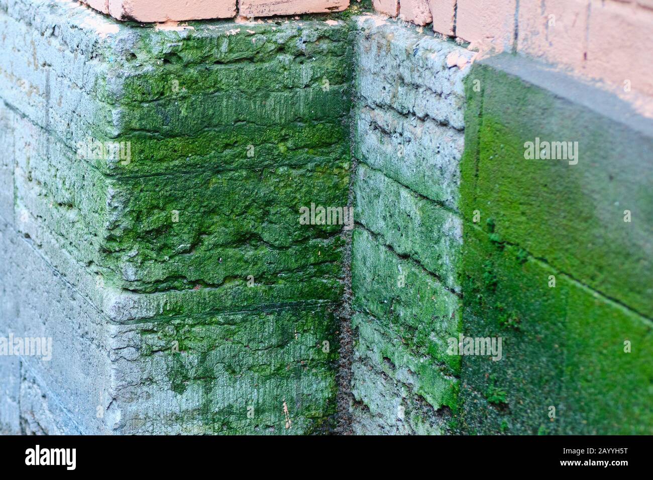 Masonry humidity hi-res stock photography and images - Alamy