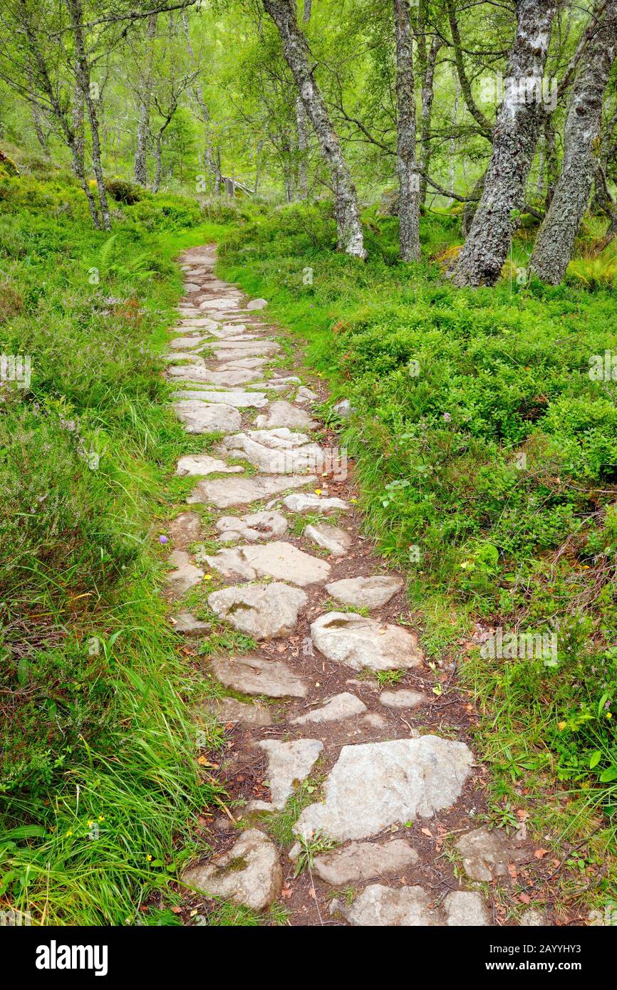 Cobblestone path in scotland hi-res stock photography and images - Alamy