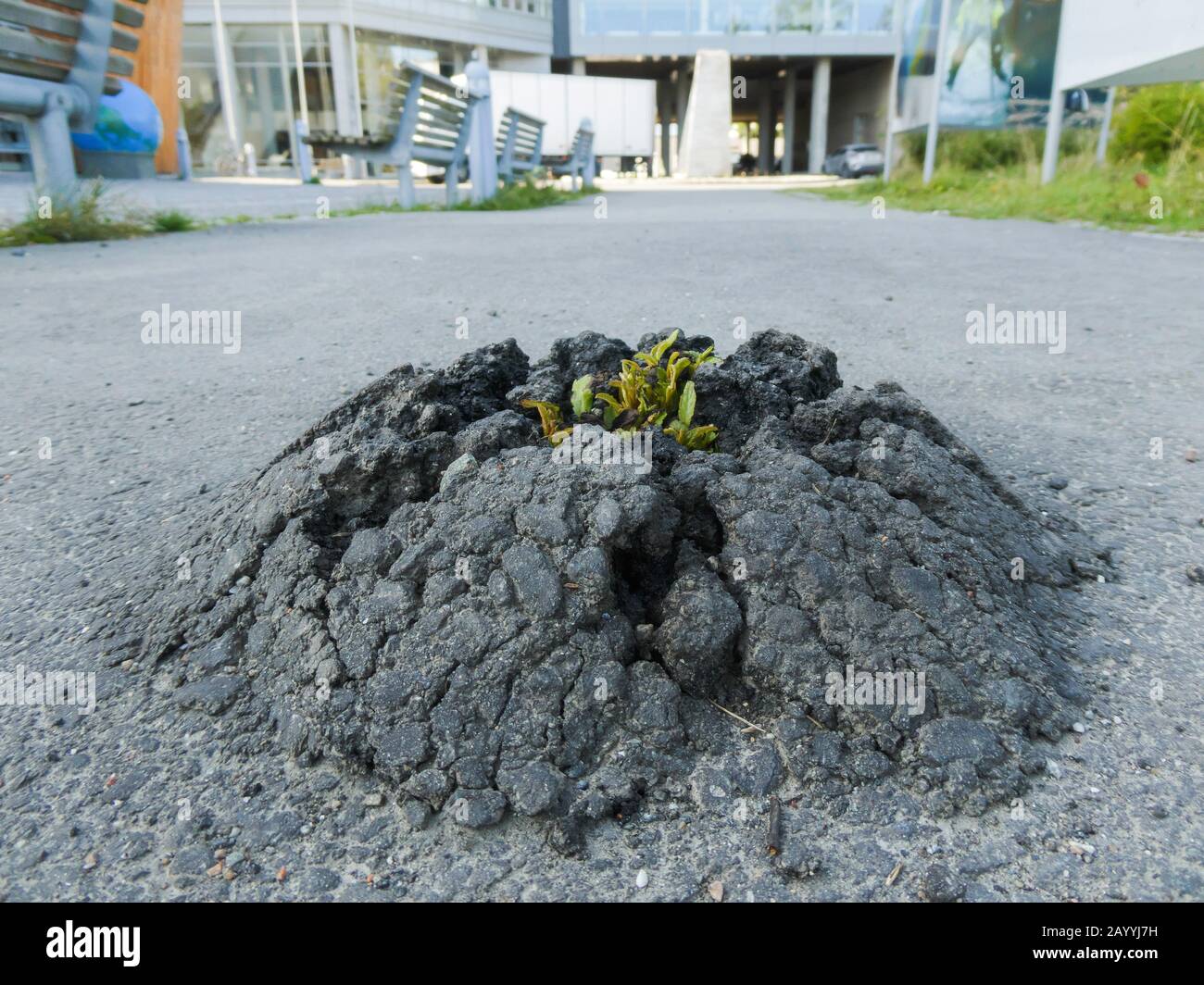 Greenhouse effect plants hi-res stock photography and images - Alamy