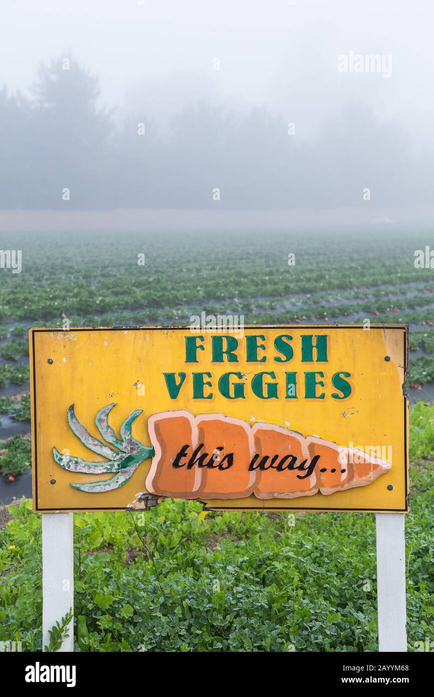 Roadside fresh vegetables sign hi-res stock photography and images - Alamy