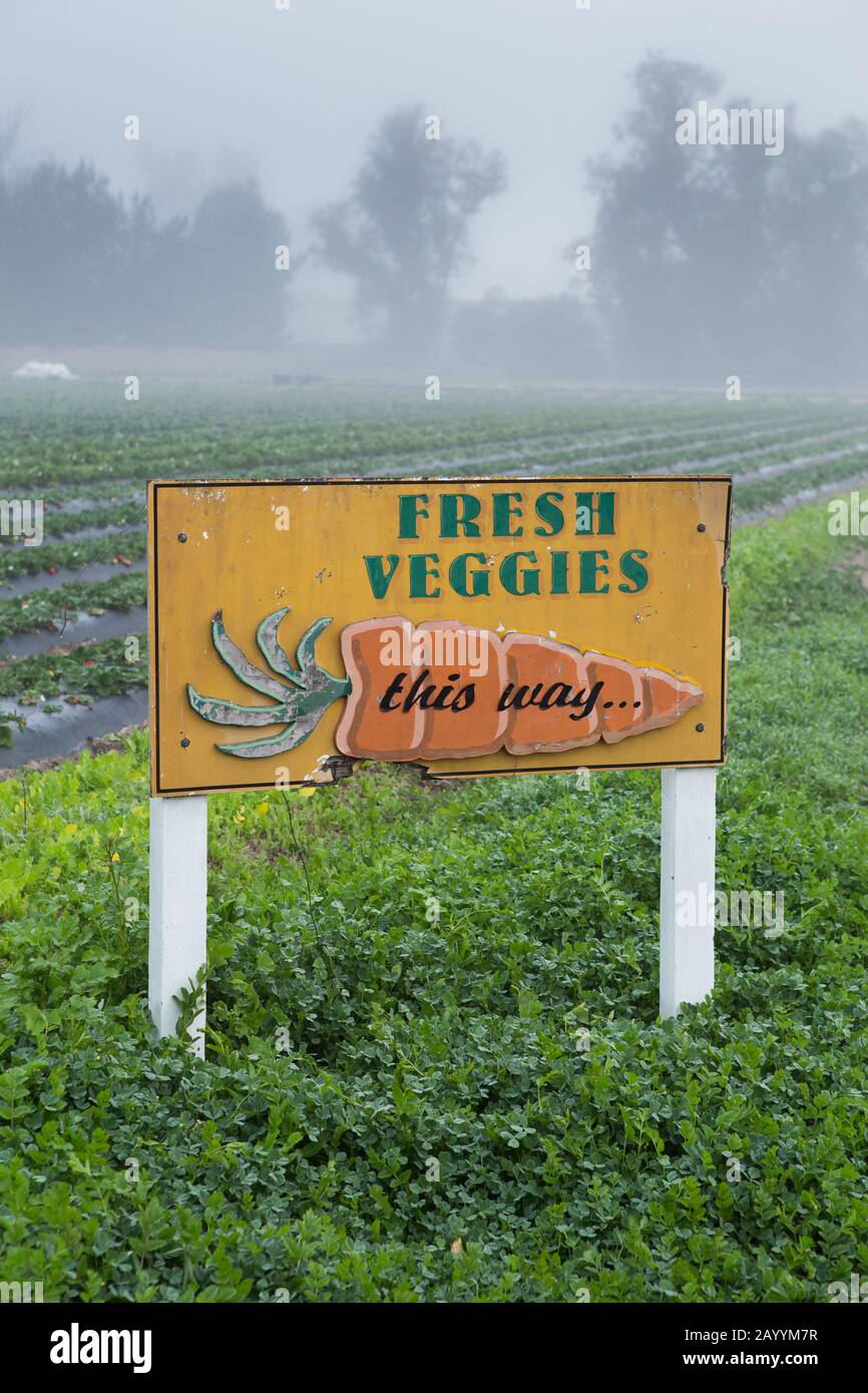 Roadside fresh vegetables sign hi-res stock photography and images - Alamy