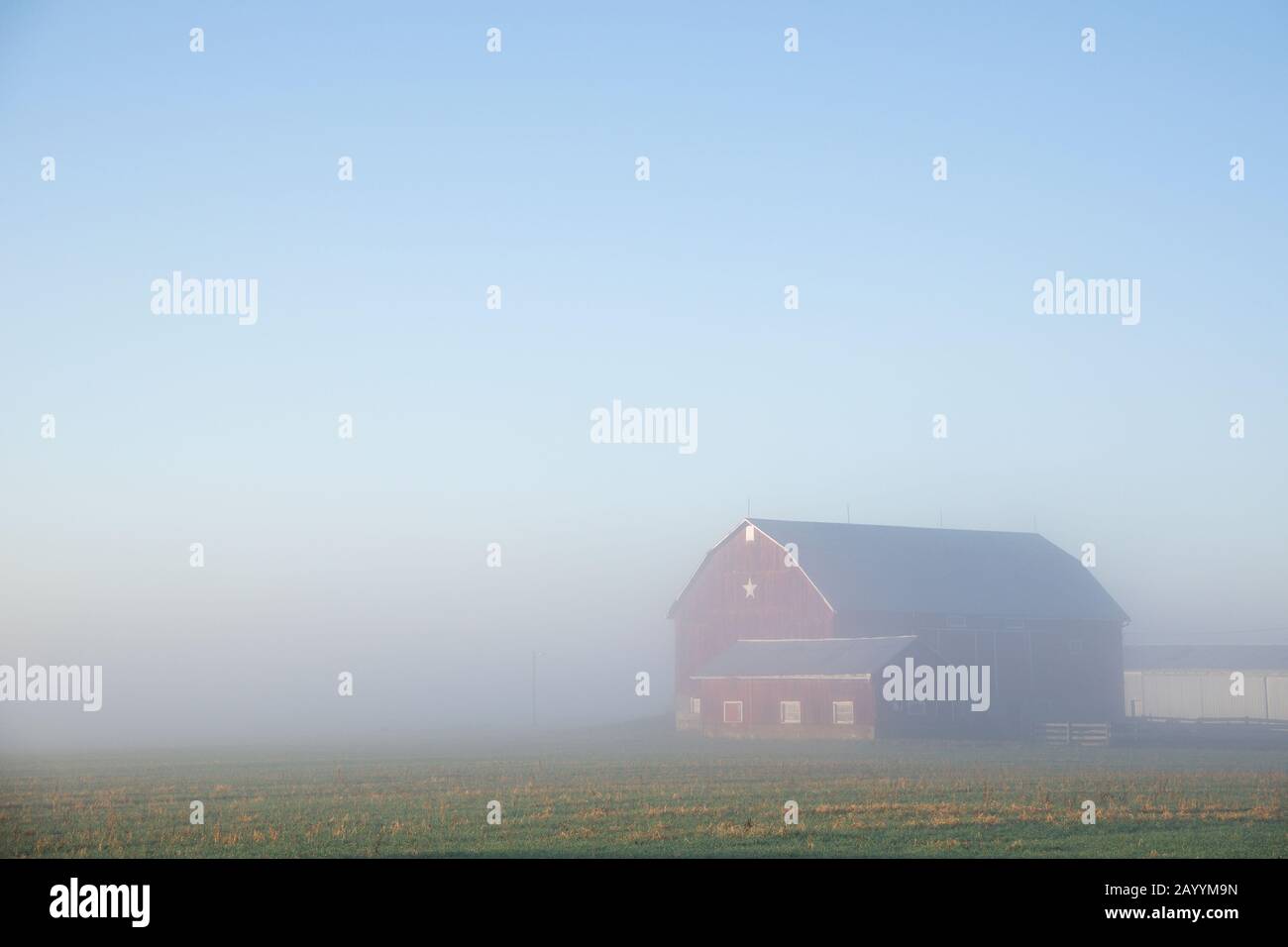 Farm barn in the foggy morning Stock Photo - Alamy