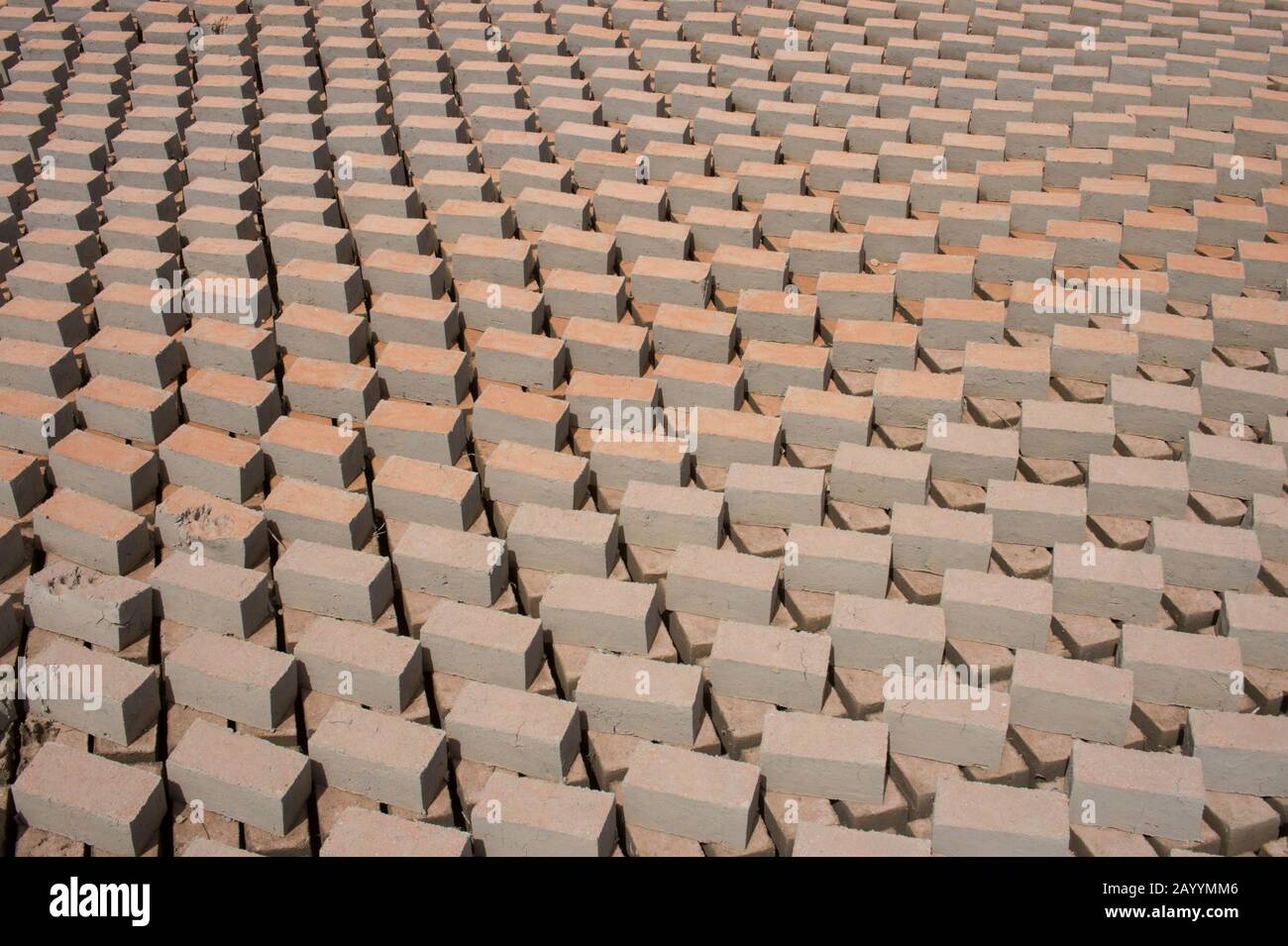 Bricks made out of clay are drying on the outskirts of Antananarivo ...