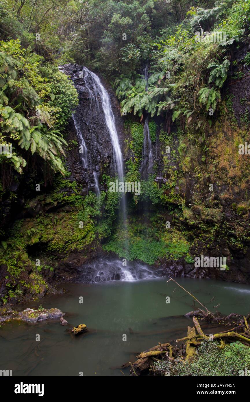 The sacred waterfall in the rainforest of Montagne d?Ambre National ...