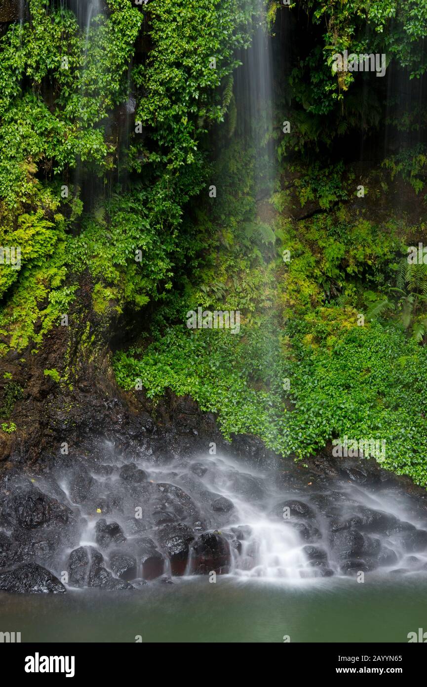 The sacred waterfall in the rainforest of Montagne d?Ambre National ...
