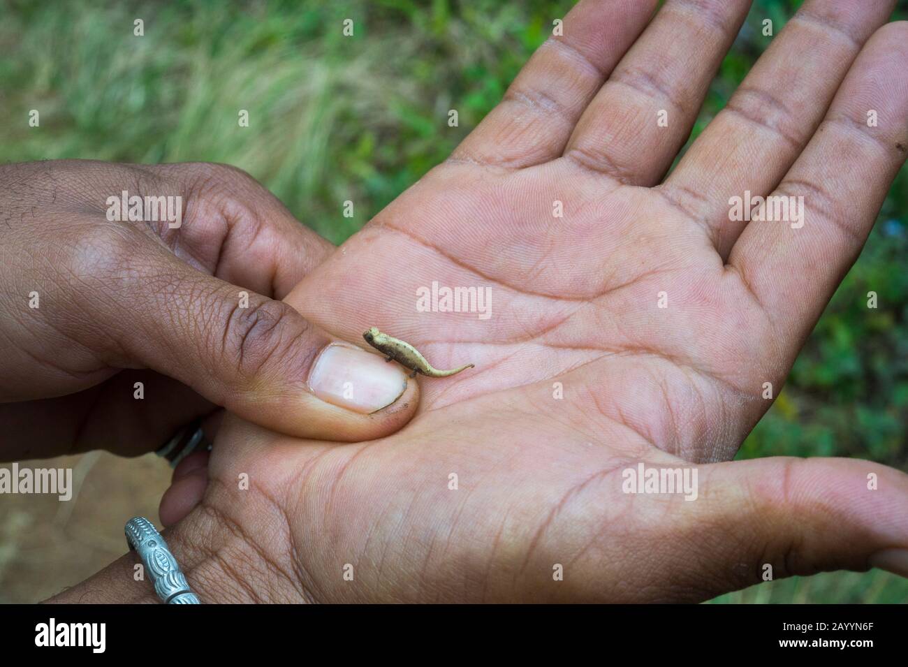 Local minima hi-res stock photography and images - Alamy