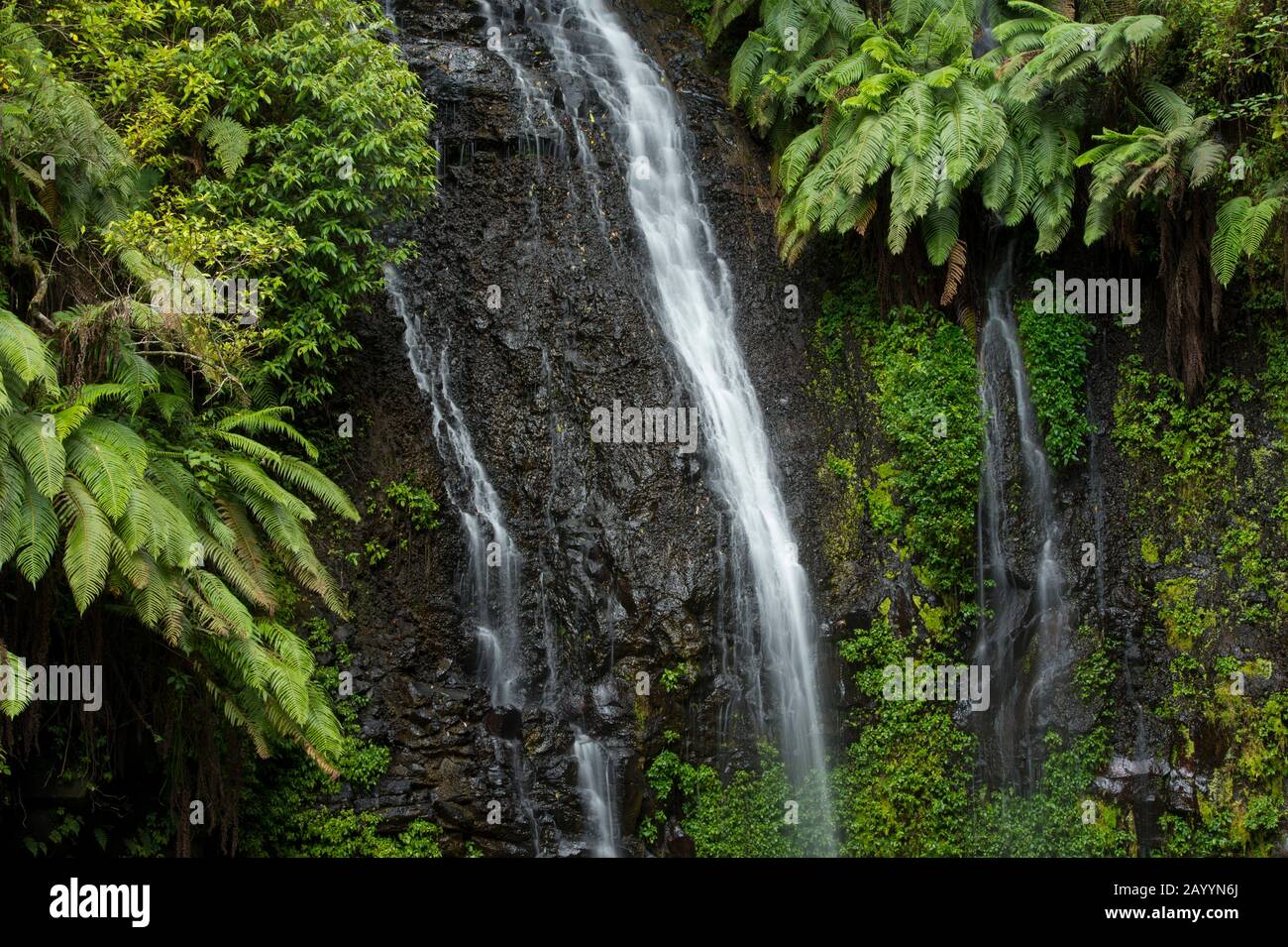 The sacred waterfall in the rainforest of Montagne d?Ambre National ...