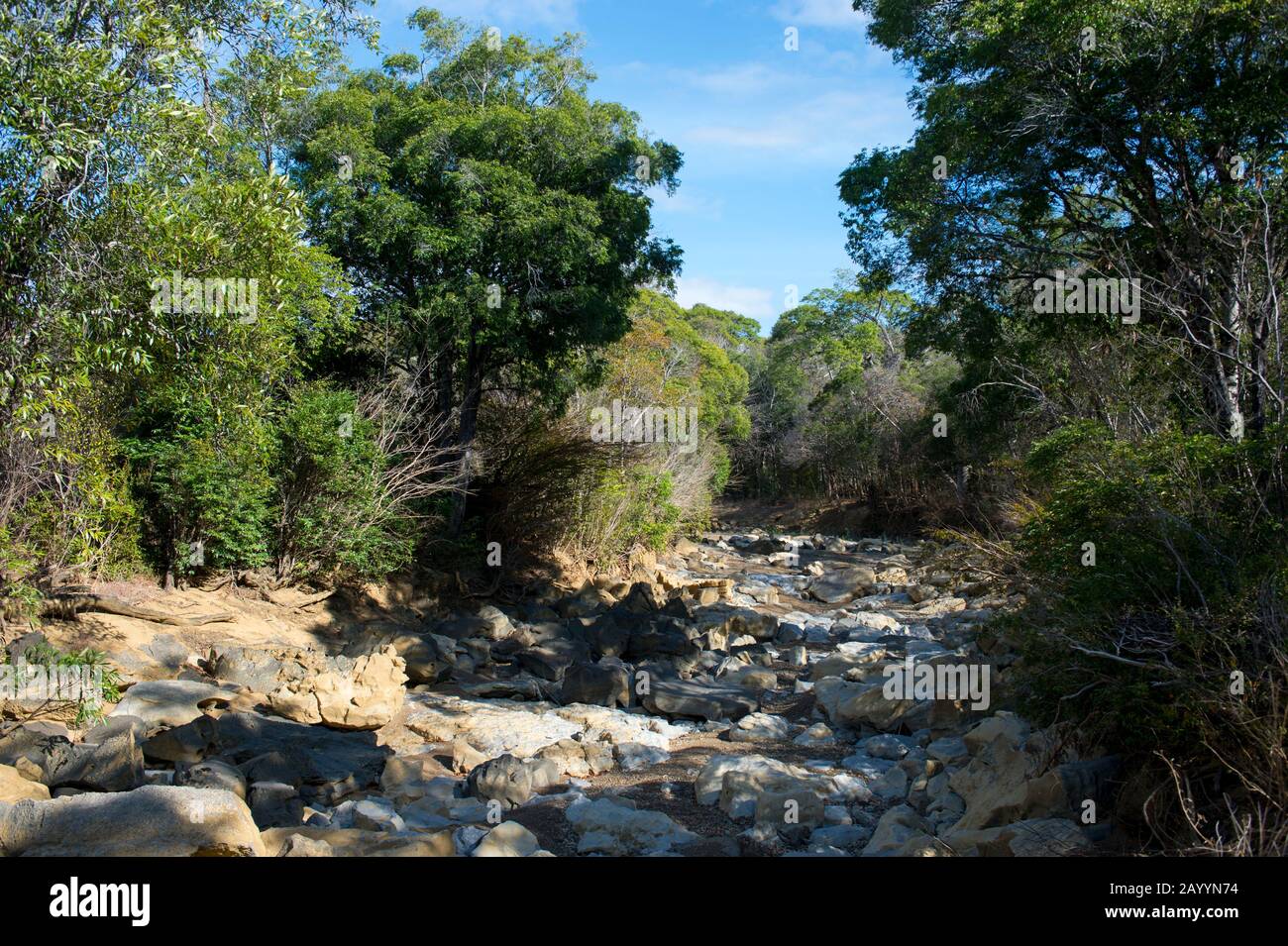 Empty river bed during dry season in Ankarana Reserve in Northern ...