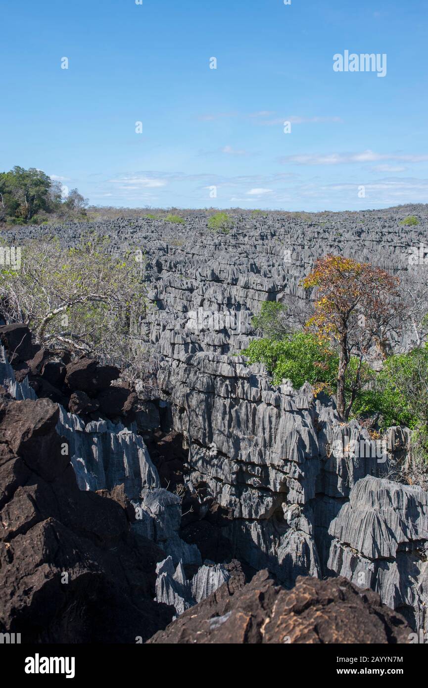 Tsingy ankarana madagascar africa hi-res stock photography and images ...