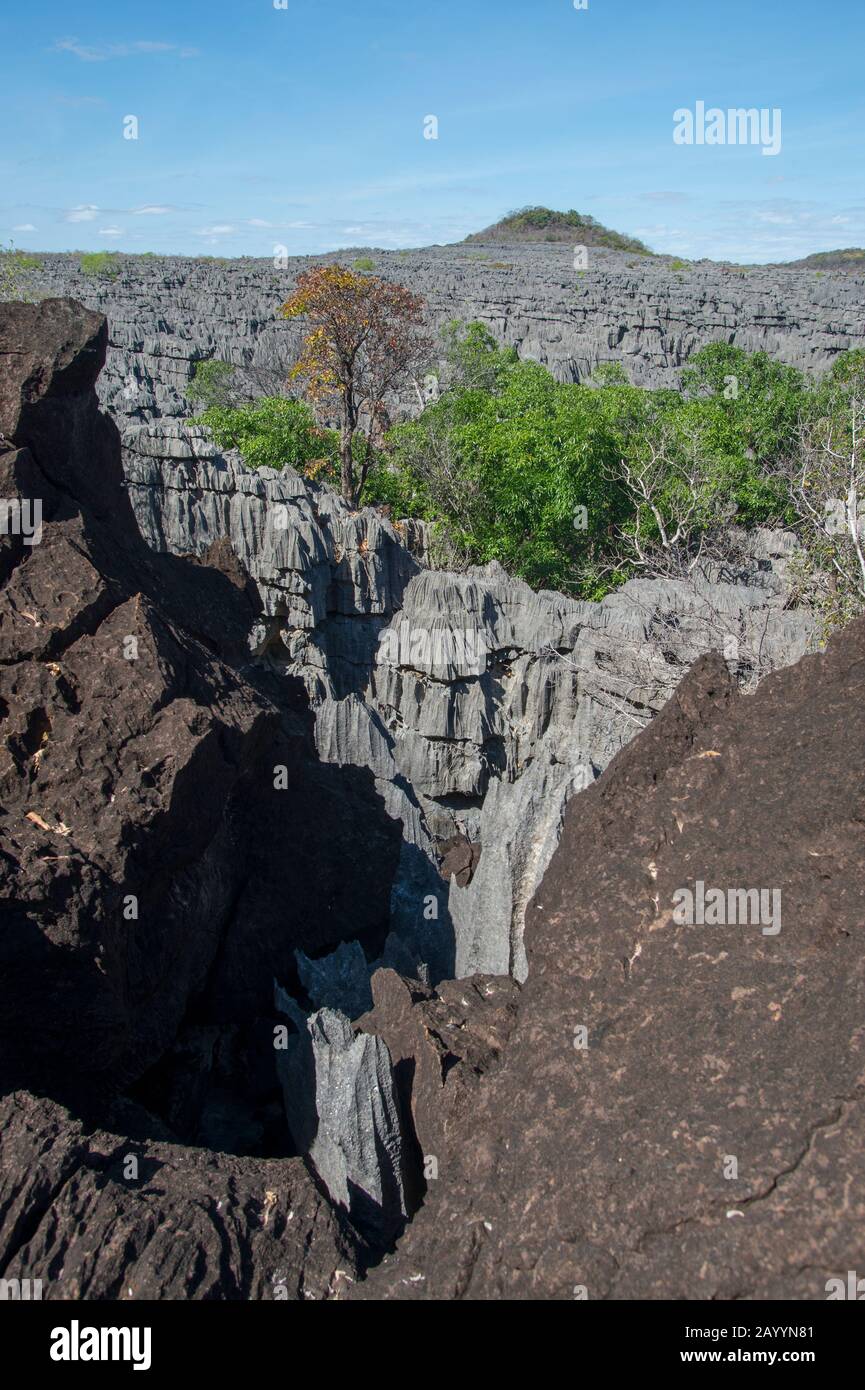 View of the bizarre limestone pinnacles known as Tsingy at Ankarana ...