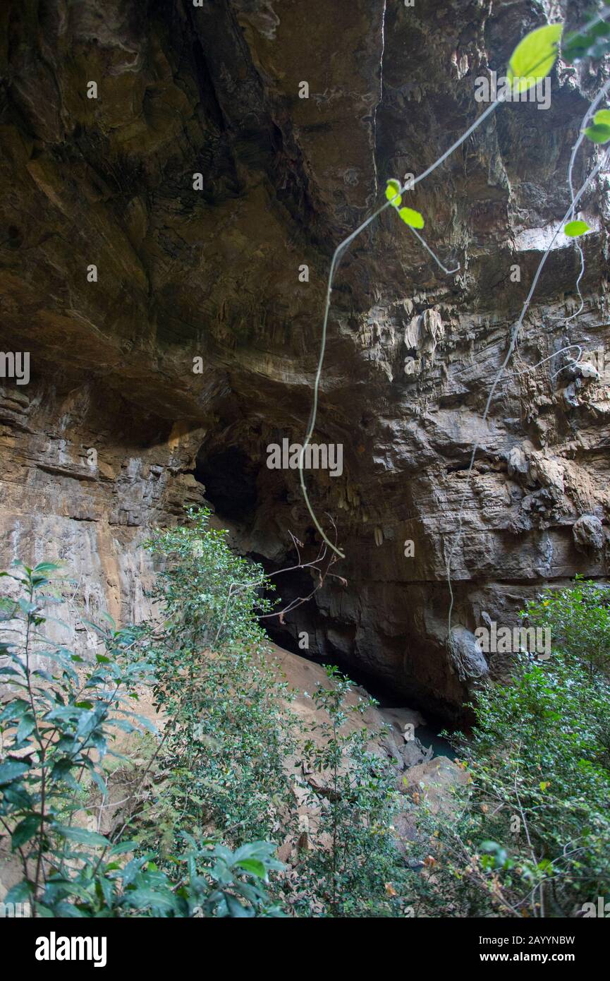 Ankarana limestone madagascar rock hi-res stock photography and images ...