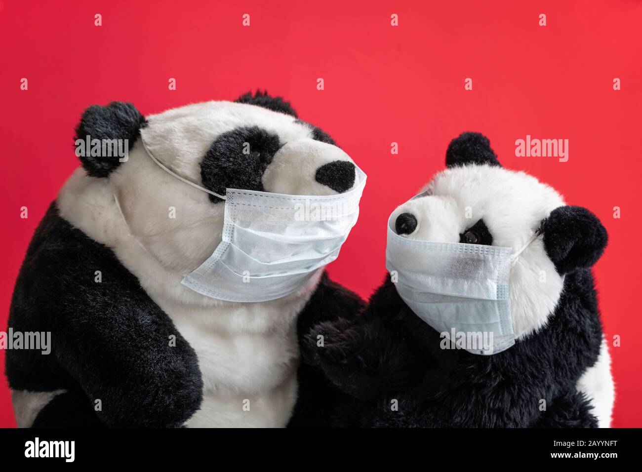 Pair of toy pandas in disposable sterile masks. Healthcare concept ...