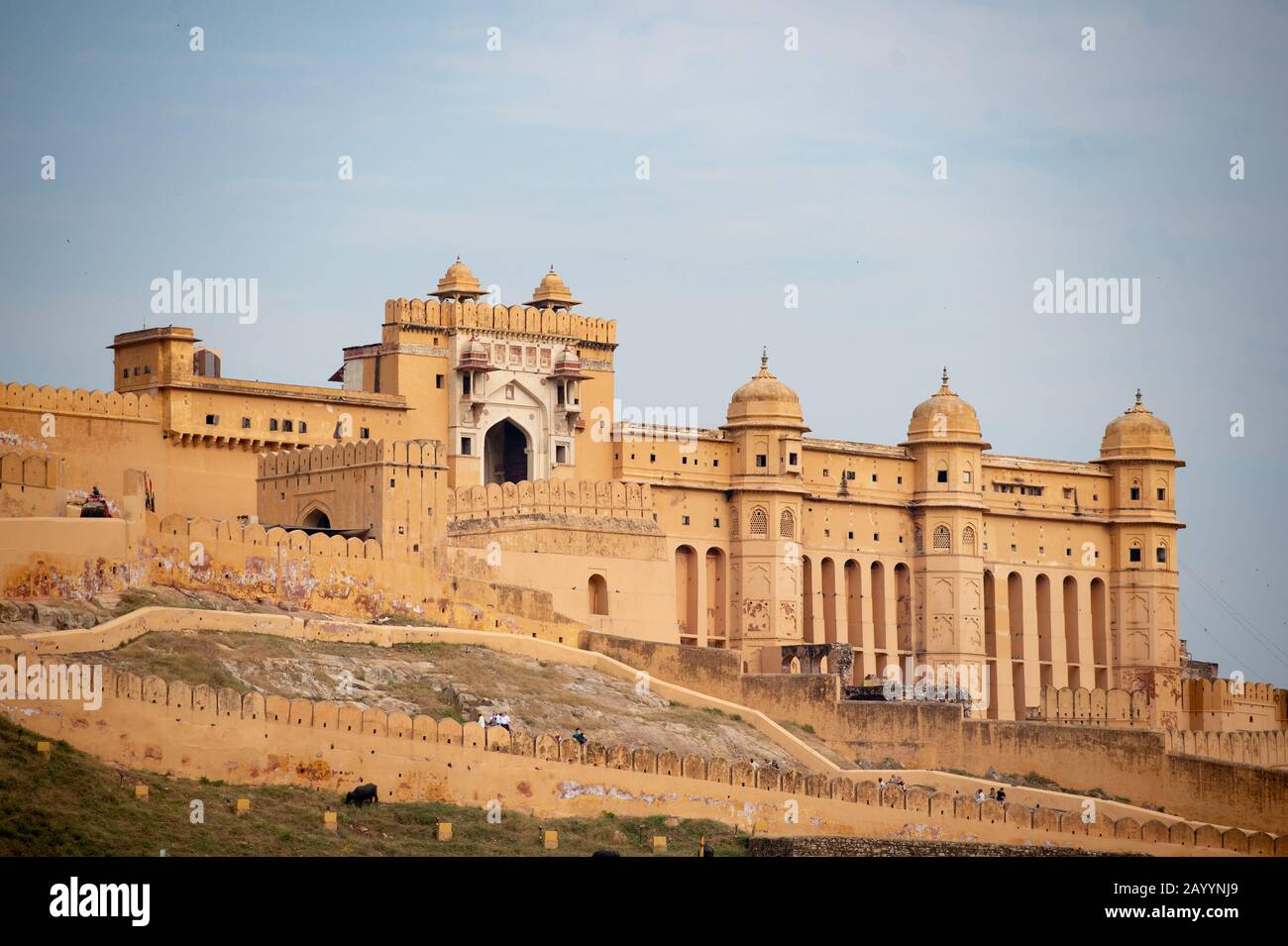The Amber Fort in Amer, Rajasthan, India Stock Photo - Alamy