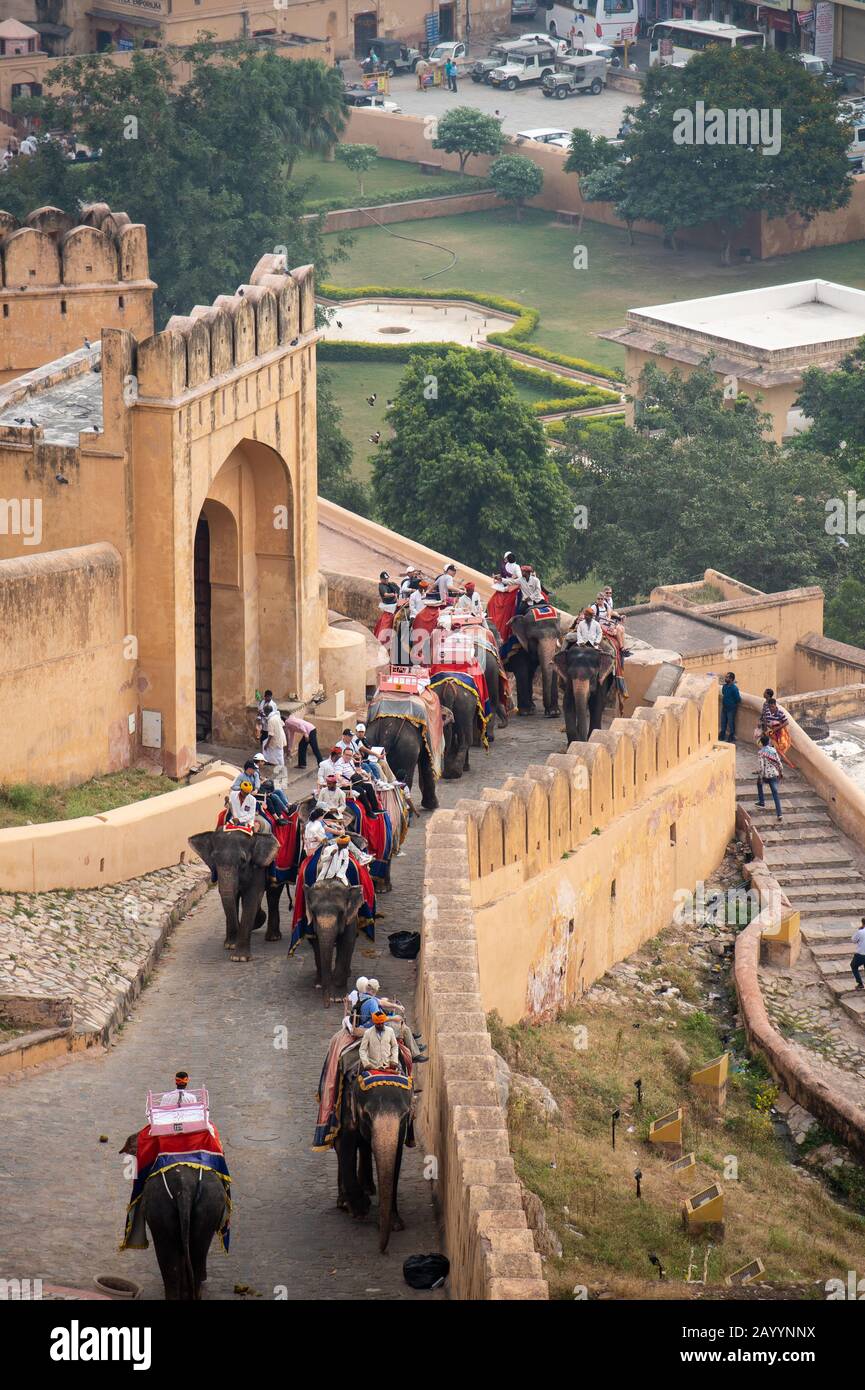 Elephants lug tourists uphill to the top of the Amber Fort in Amer ...