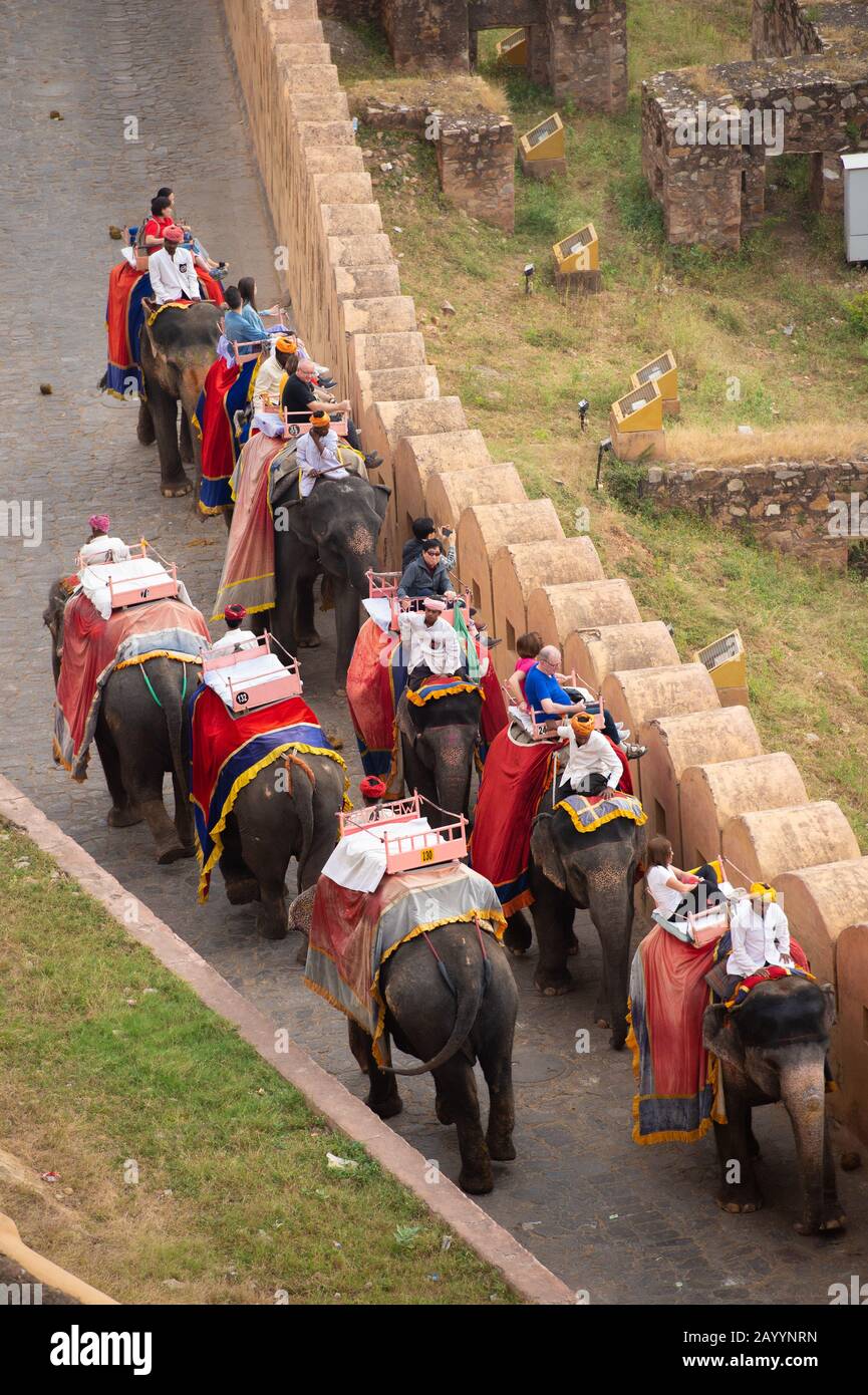 Elephants lug tourists uphill to the top of the Amber Fort in Amer ...