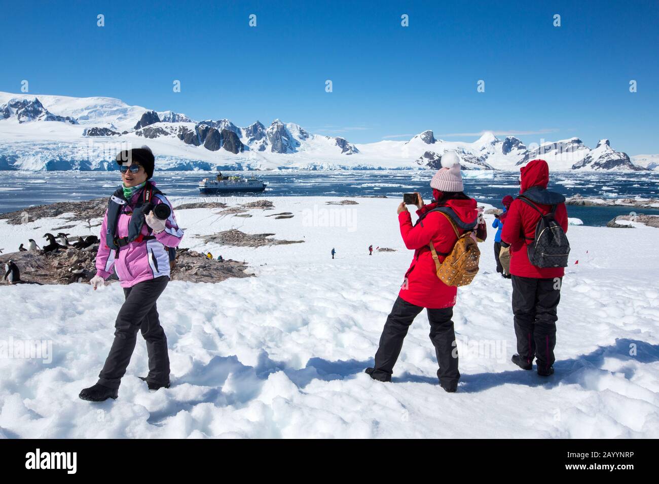 Tourists from an expedition cruise ship on Peterman Island near the ...