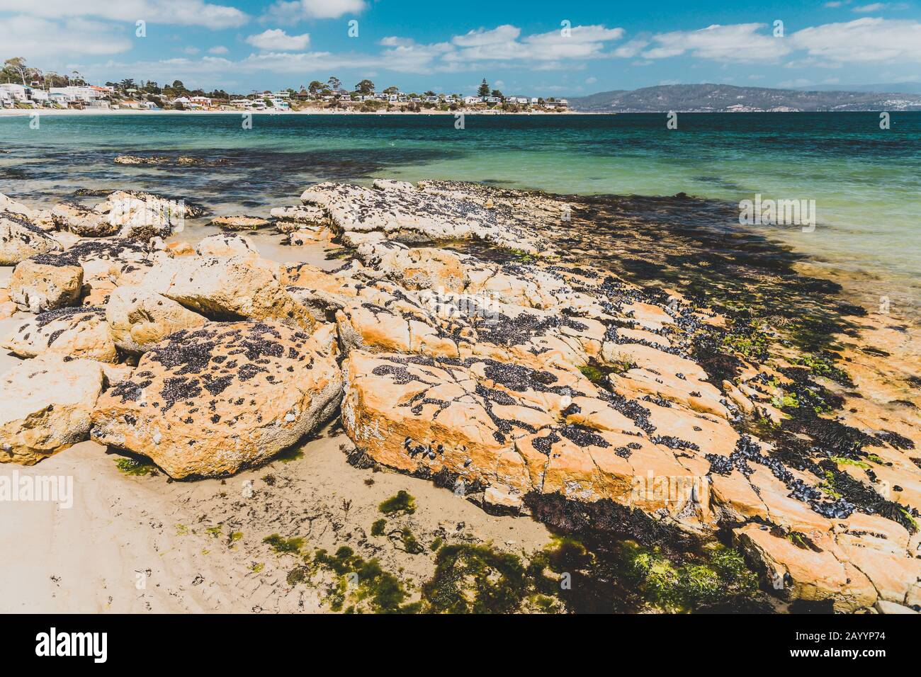 Opossum bay hi-res stock photography and images - Alamy