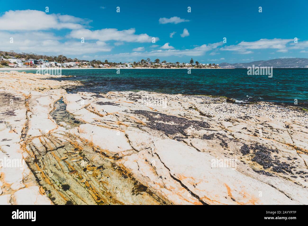 Opossum bay hi-res stock photography and images - Alamy