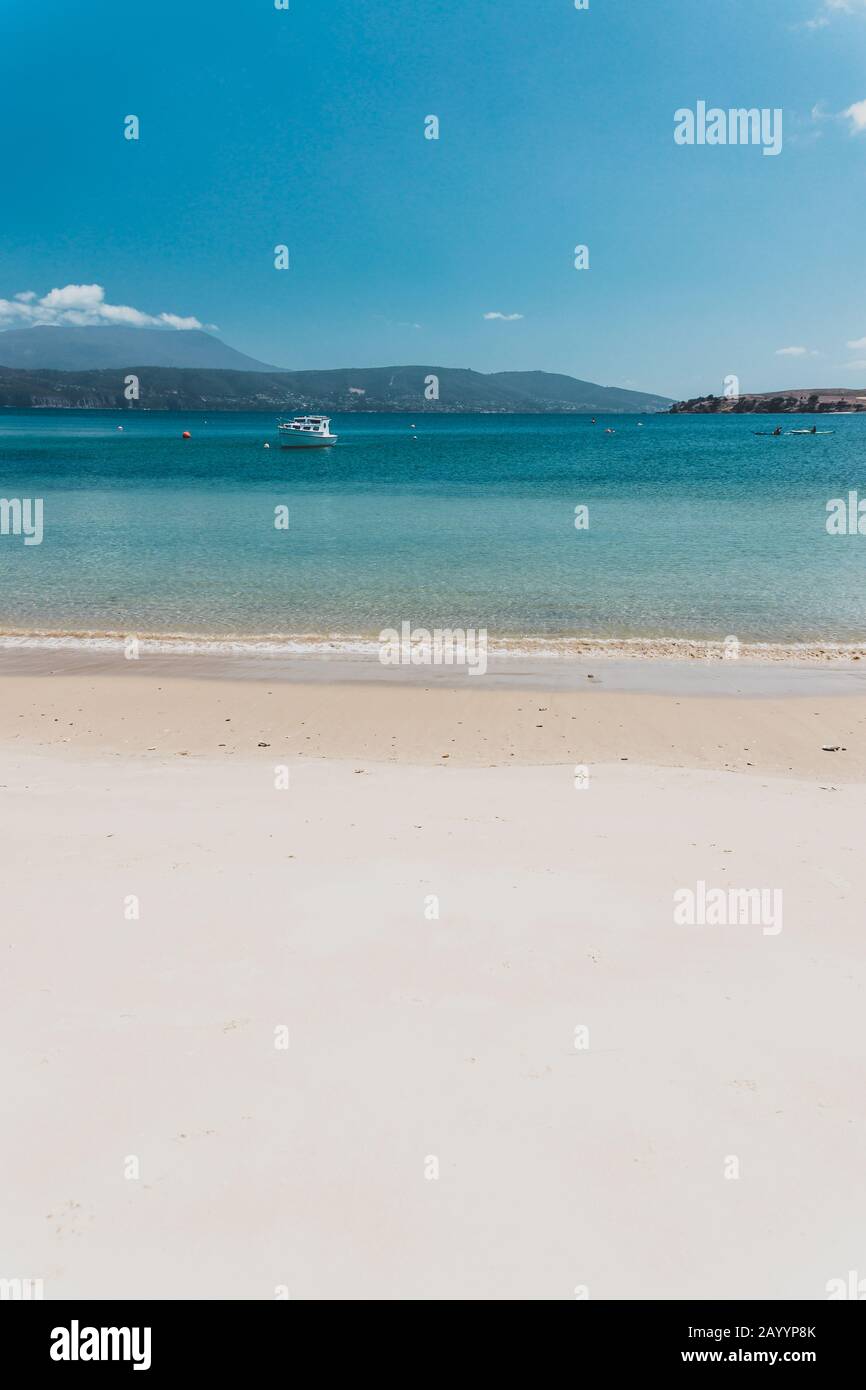 Opossum bay hi-res stock photography and images - Alamy