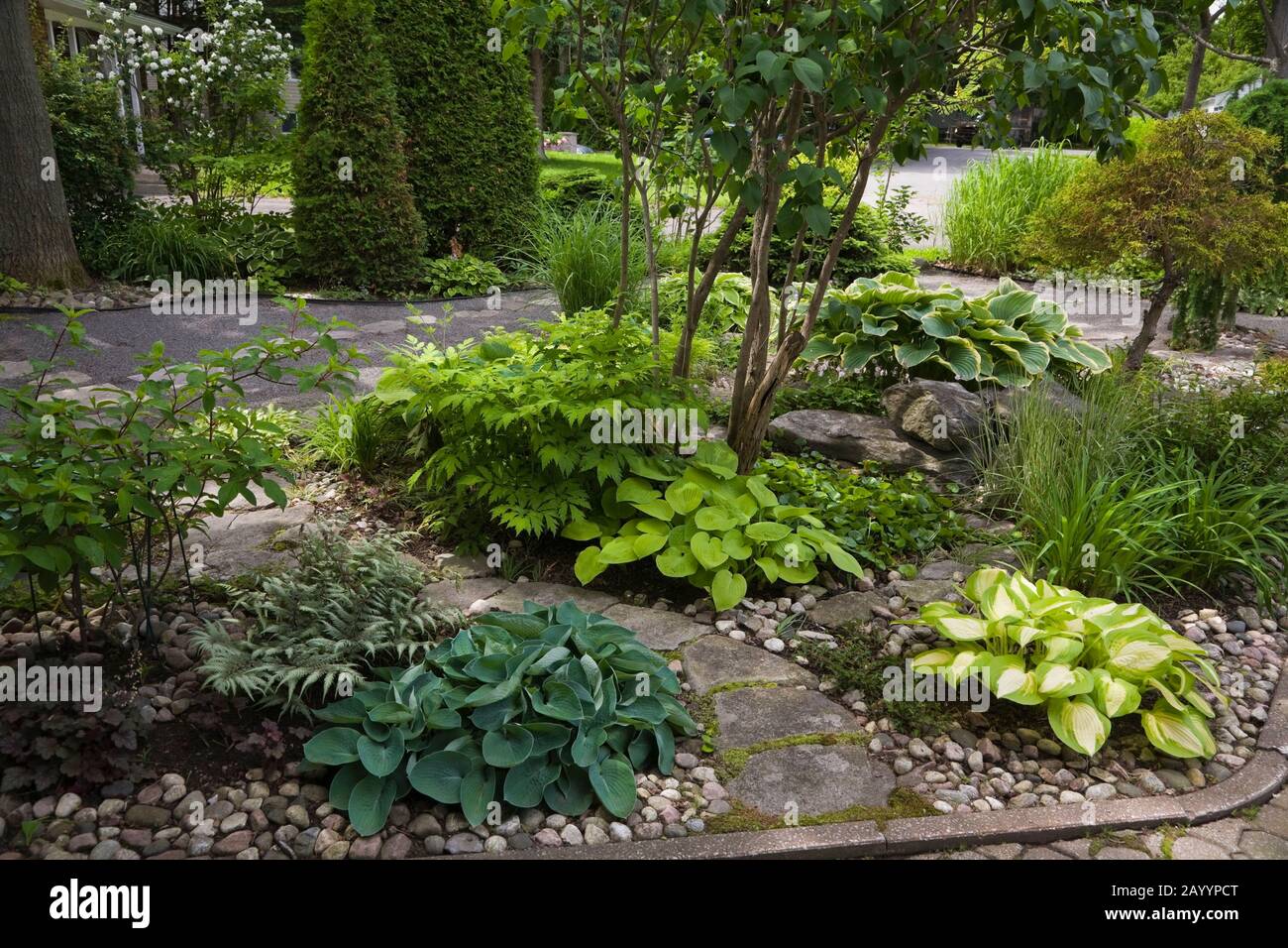 Garden path hostas hi-res stock photography and images - Alamy