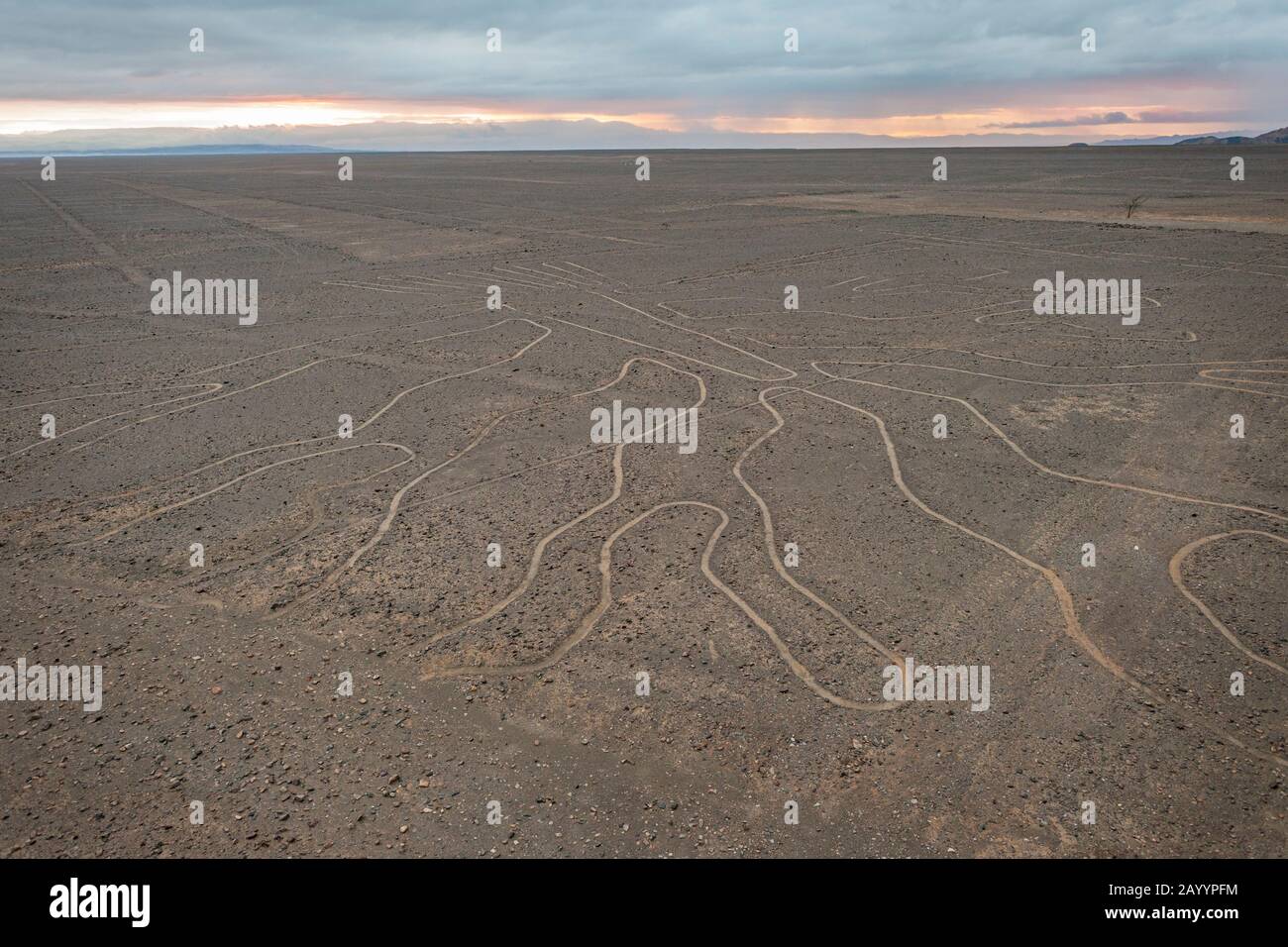 View of “The Tree” Nazca lines on the edge of the Panamerican highway ...